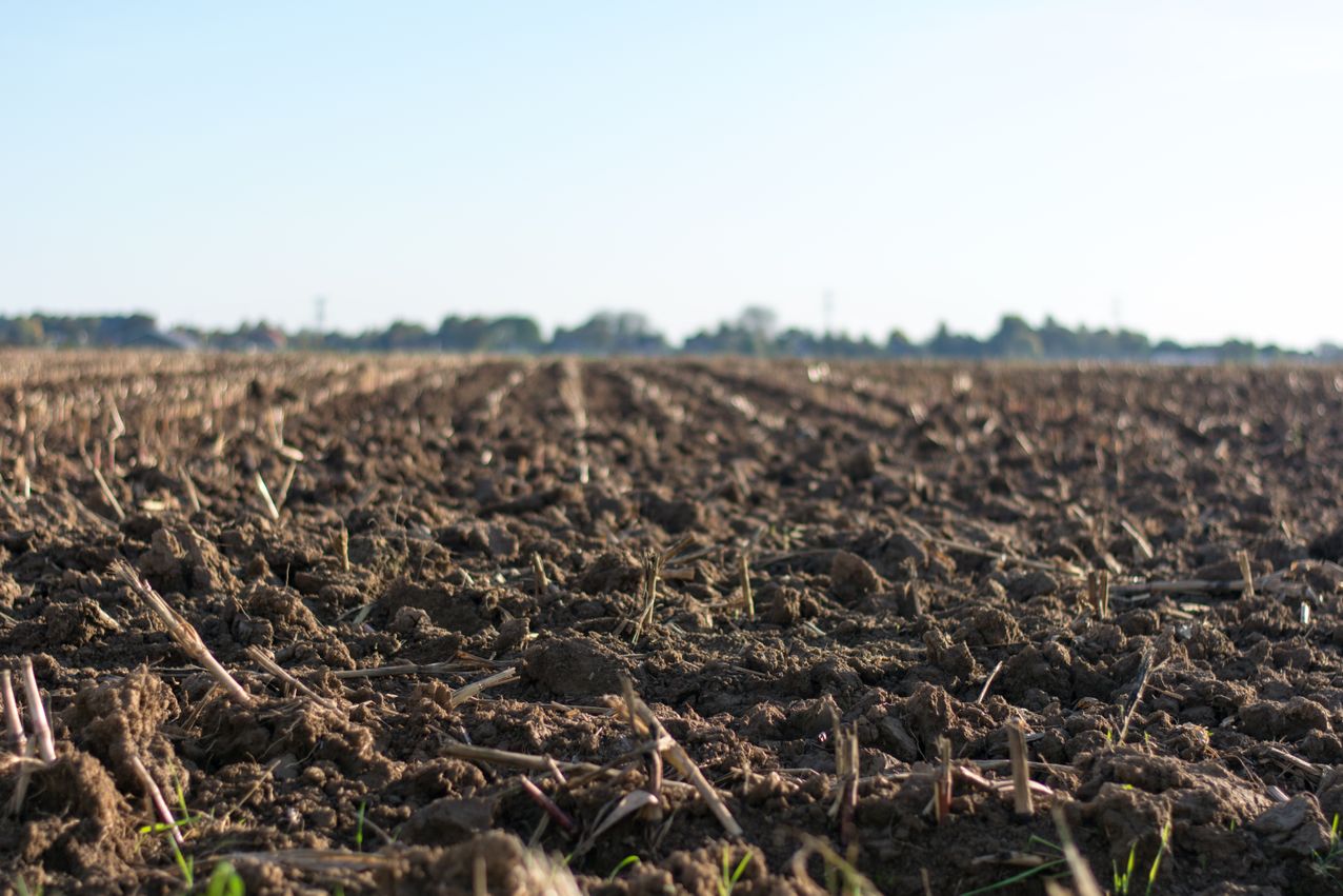 Land (economics) made simple: key concepts and techniques