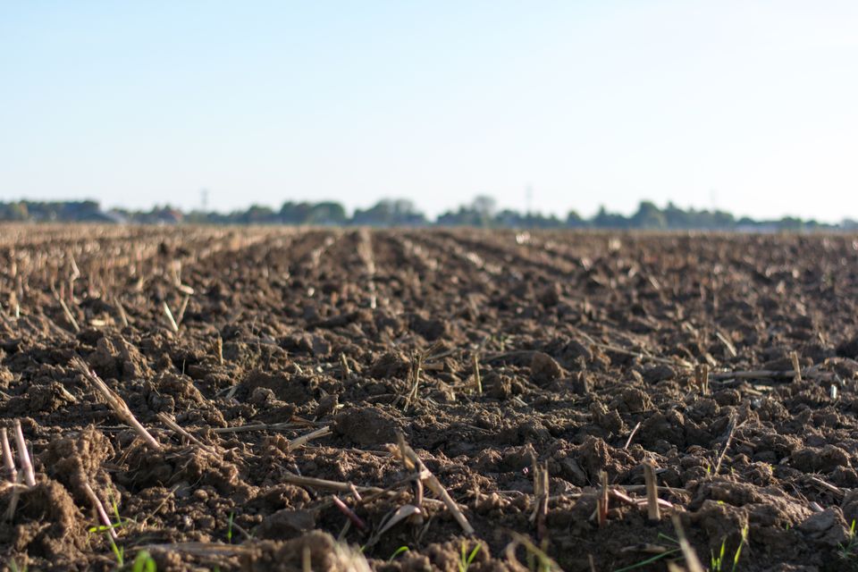 Land (economics) made simple: key concepts and techniques