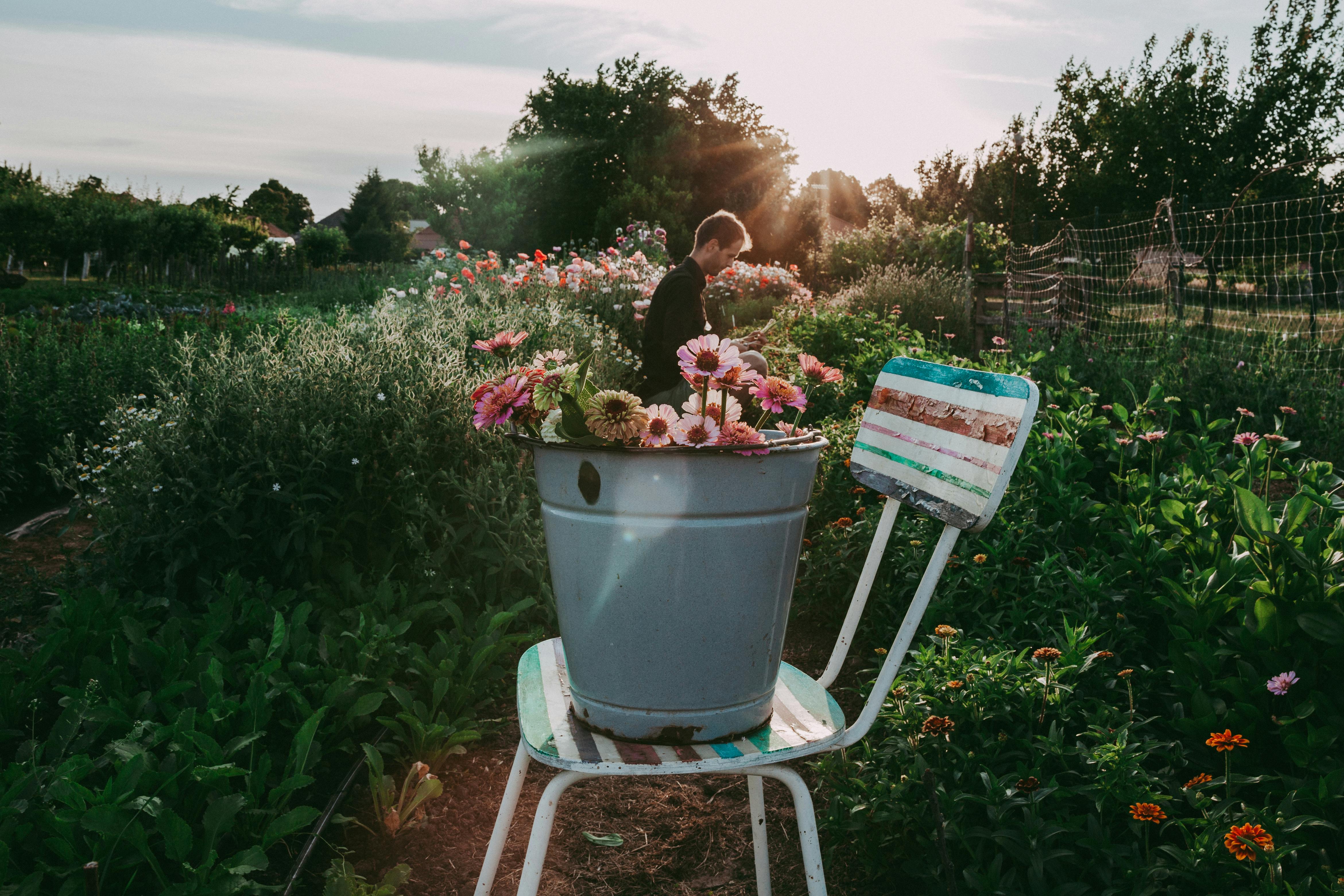 Bucket Gardening Photos, Download The BEST Free Bucket Gardening Stock ...