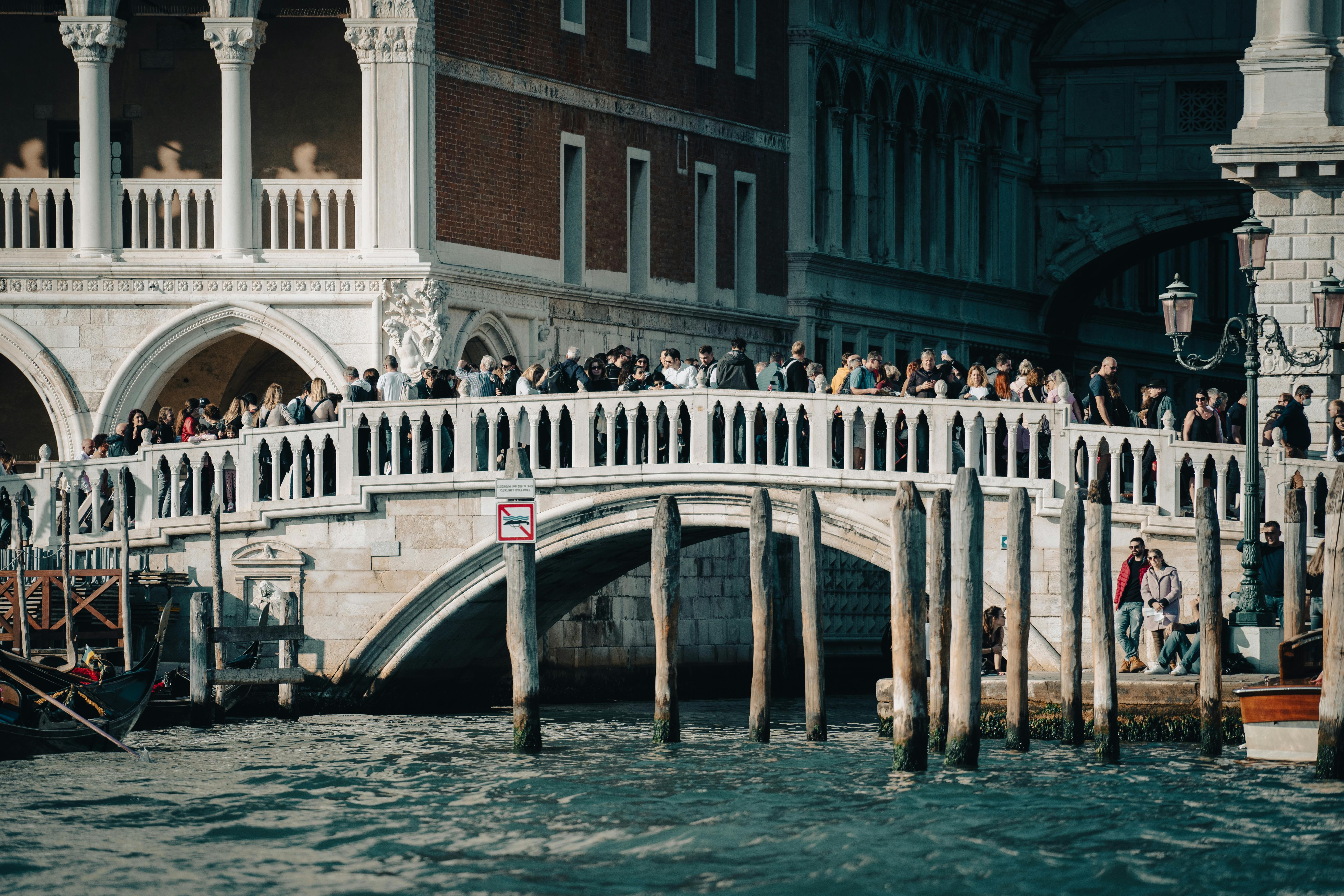People Standing on White Concrete Bridge · Free Stock Photo