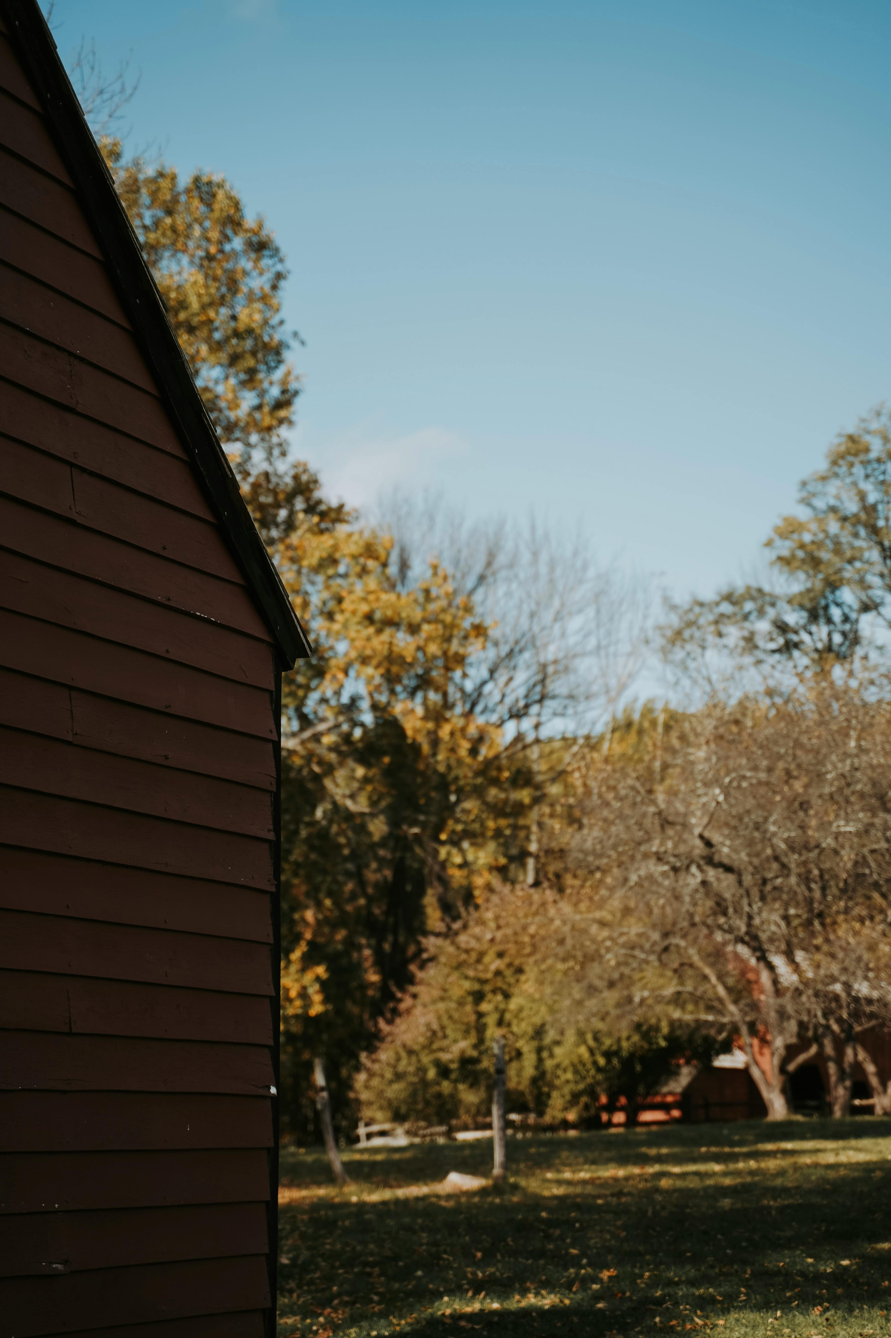 Close-Up Shot of Brown Wooden Barn Near Green Trees · Free Stock Photo