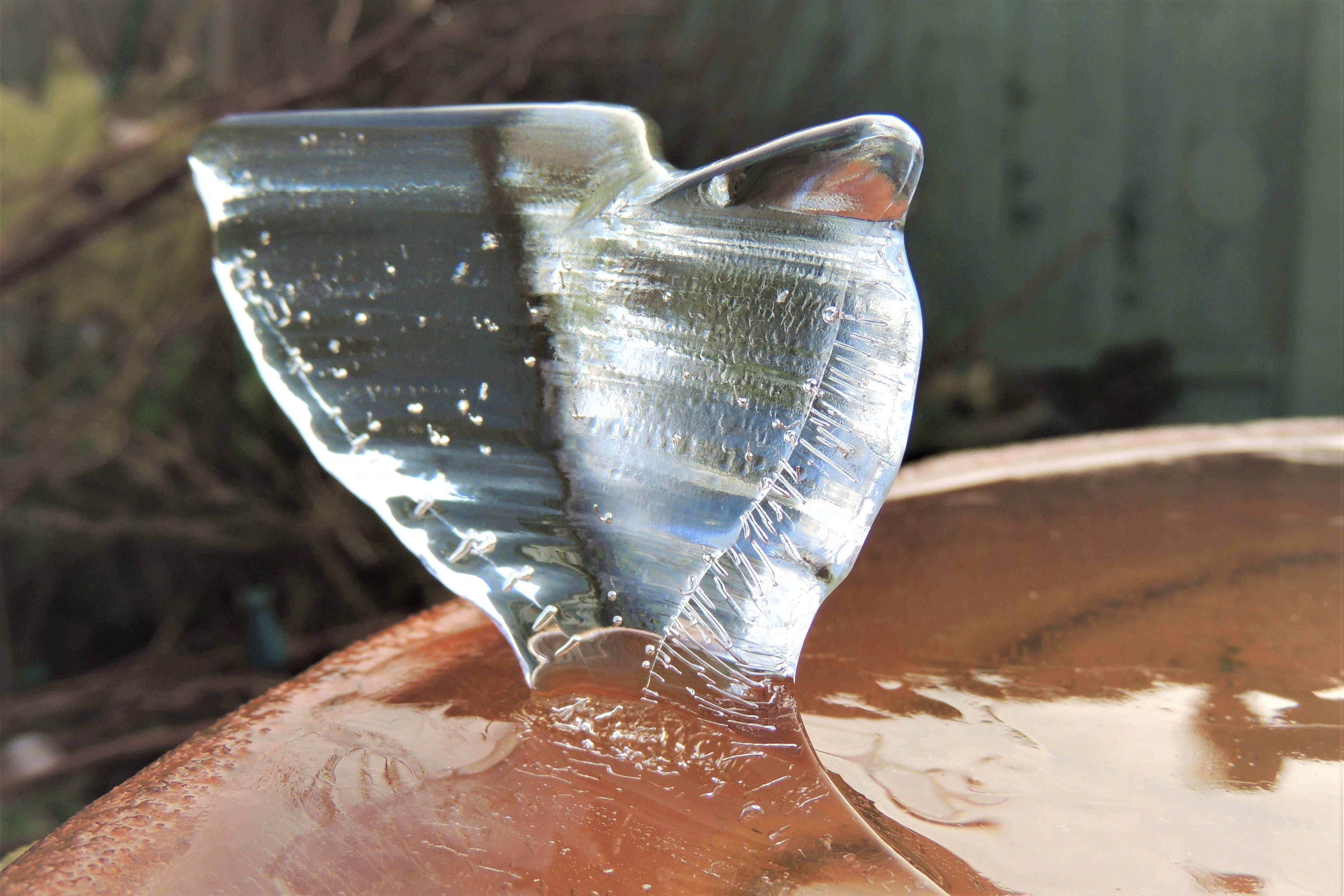 Ice-spike rare phenomenon 18 Photos & Videos Collected by Patrick Nizan