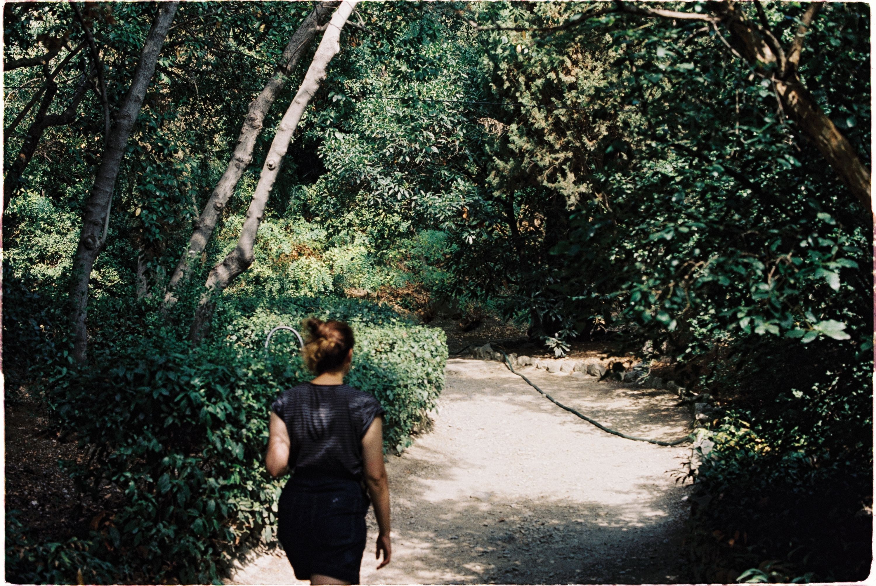 Person Walking at the Park · Free Stock Photo