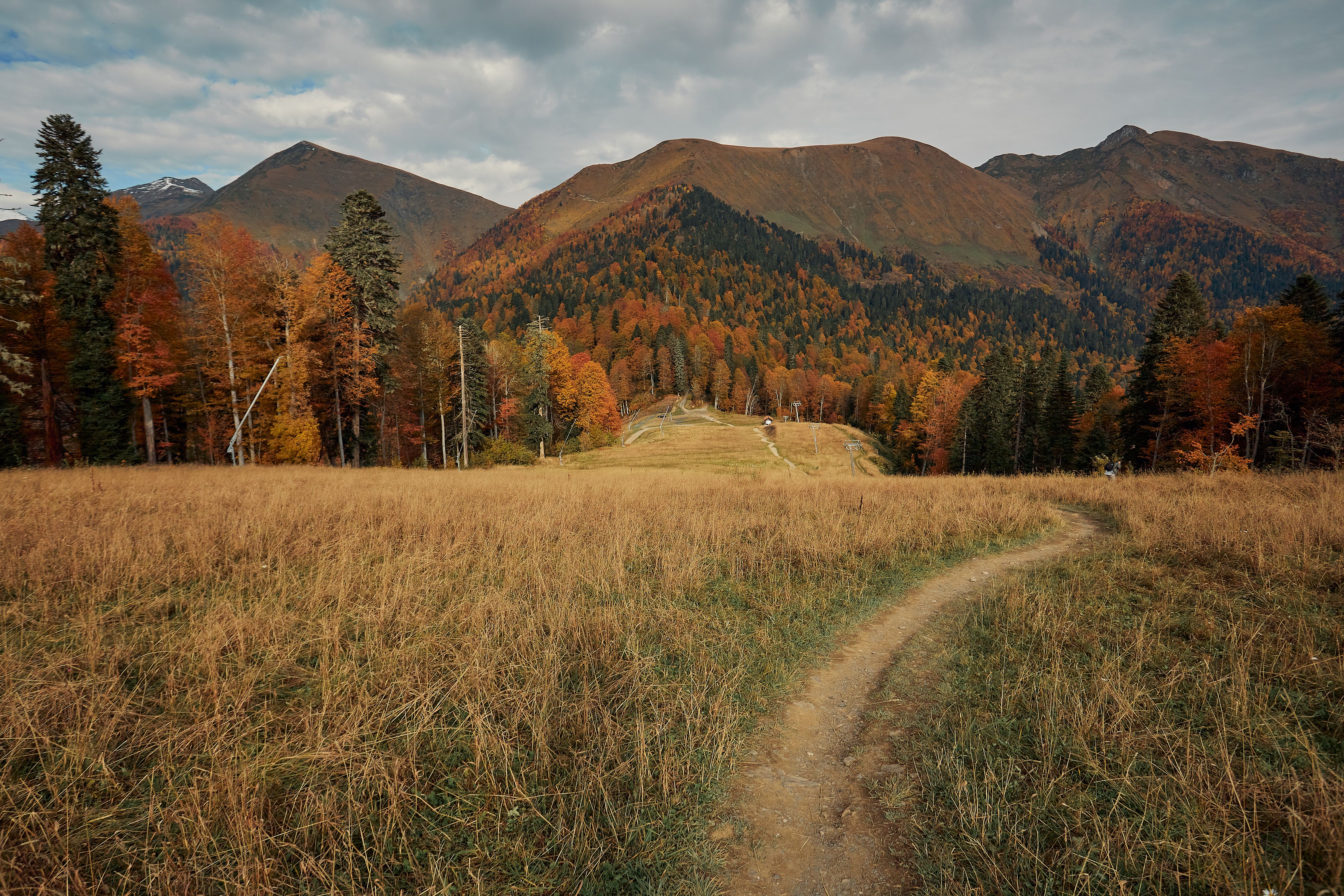 Scenic Mountain Trail at Sunrise in Colorado · Free Stock Photo