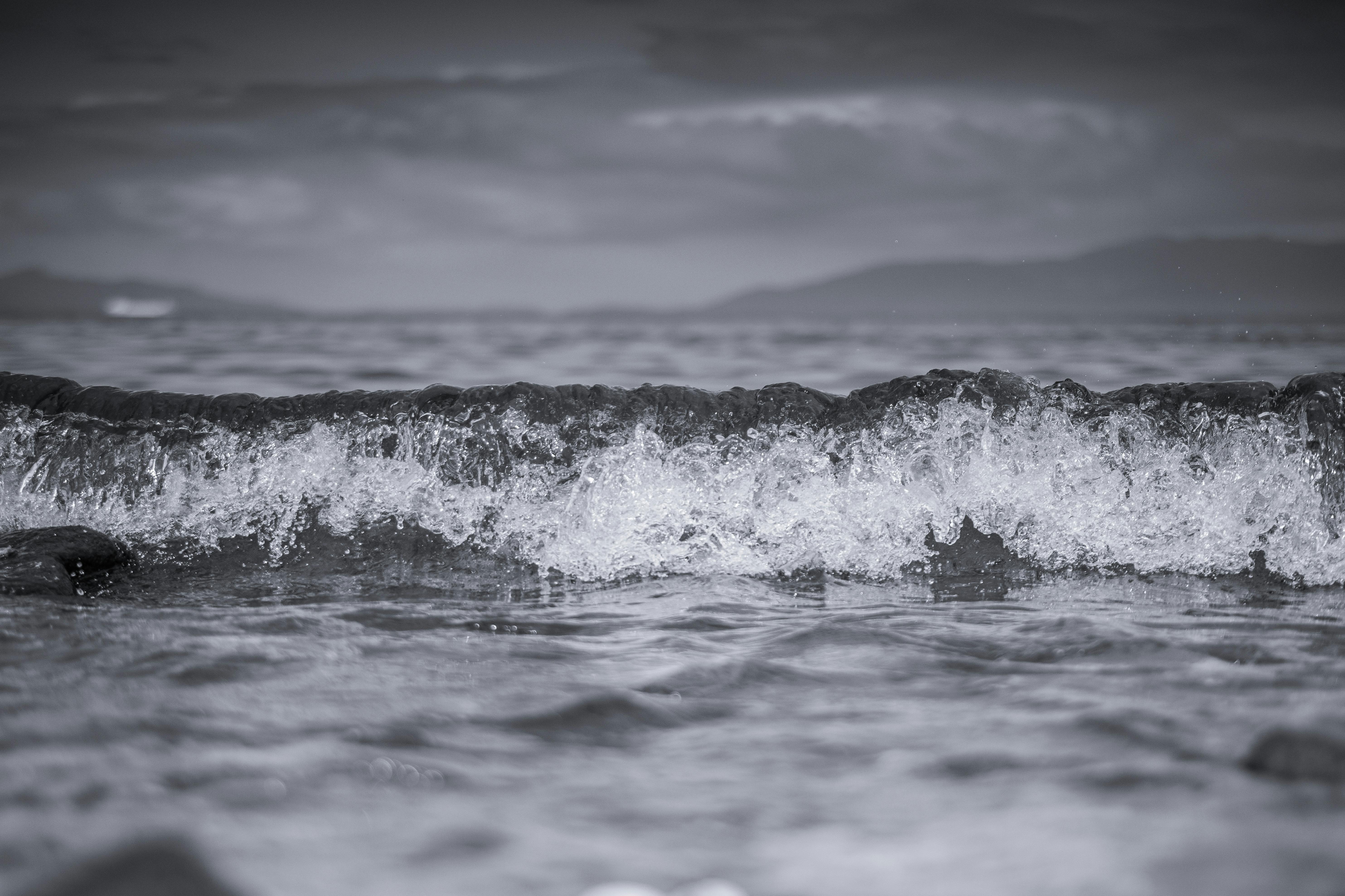 Grey-scale Photography of Building Near a body of water · Free Stock Photo