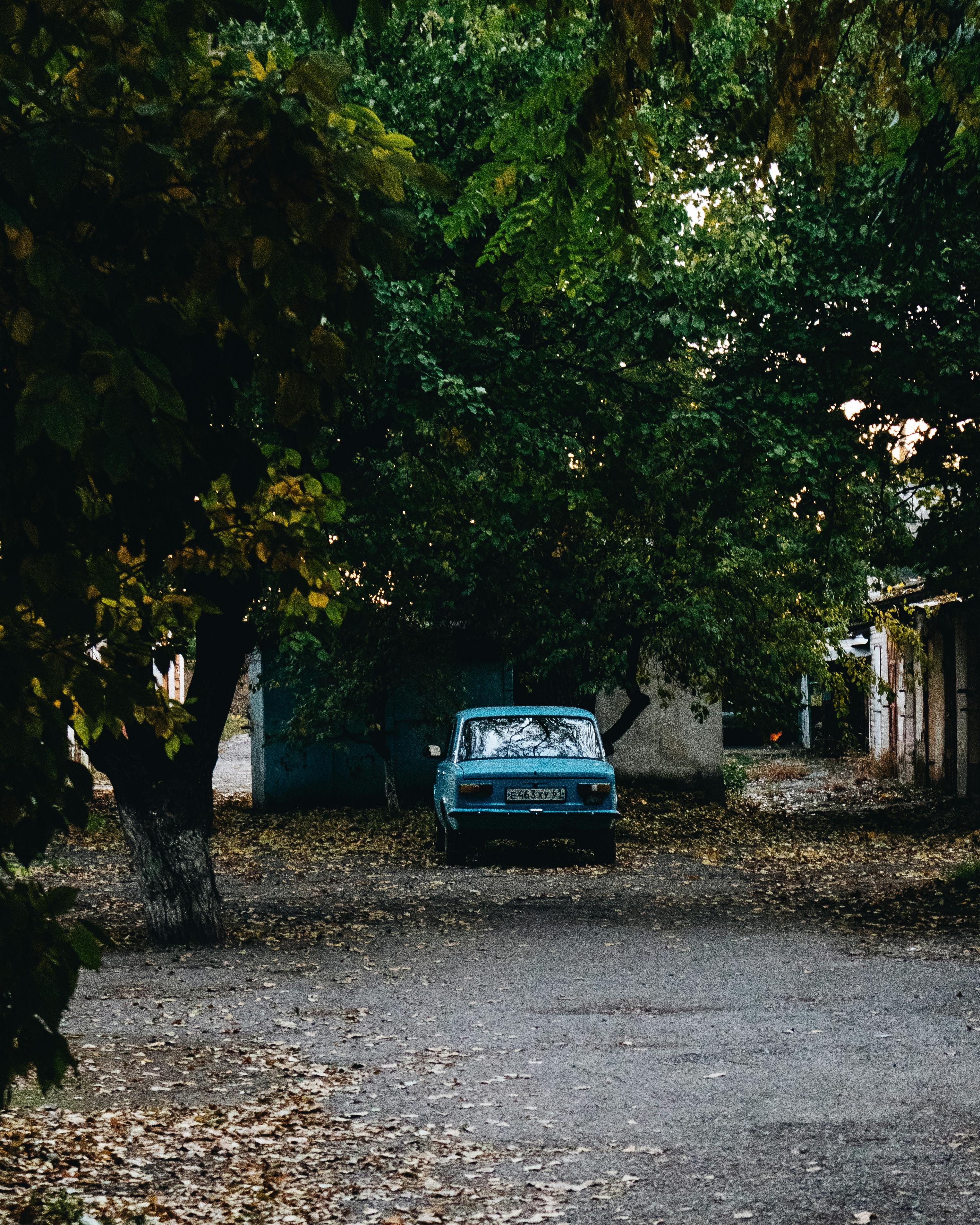 Blue Car Parked Under Trees · Free Stock Photo