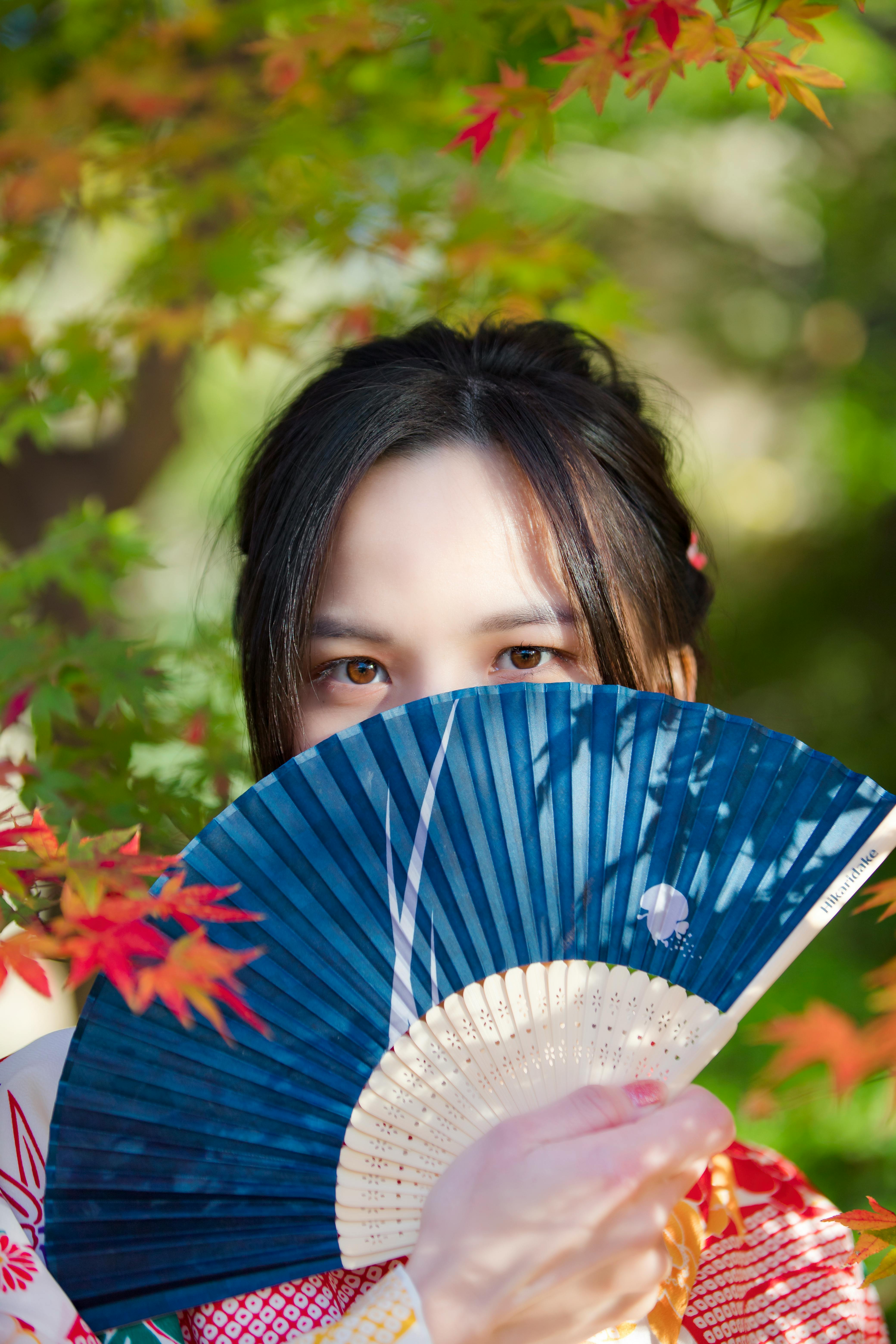 Fan Background Photos, Download The BEST Free Fan Background Stock ...