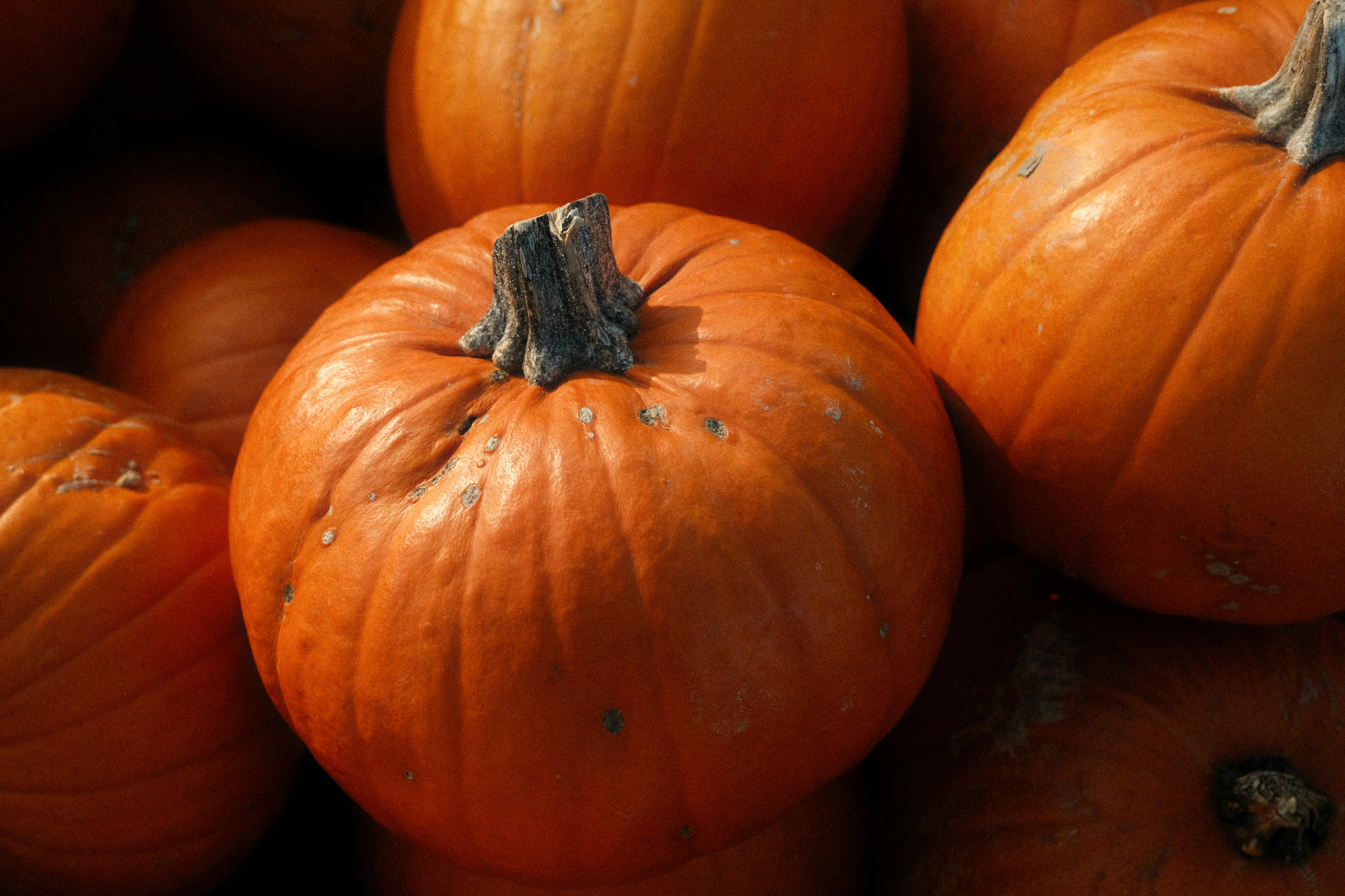 Pumpkins on Wooden Surface · Free Stock Photo