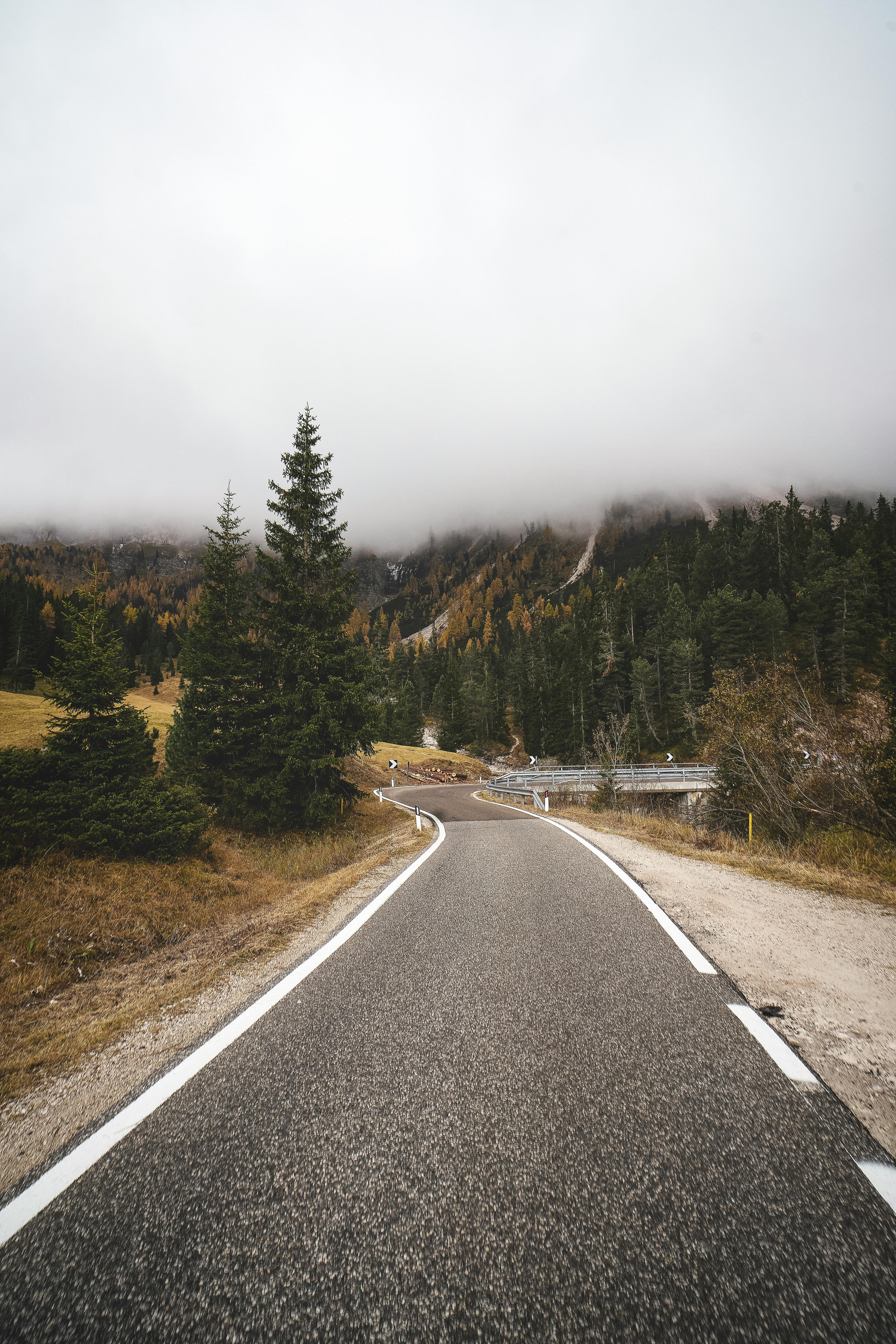 Gray Concrete Road Near Forest · Free Stock Photo