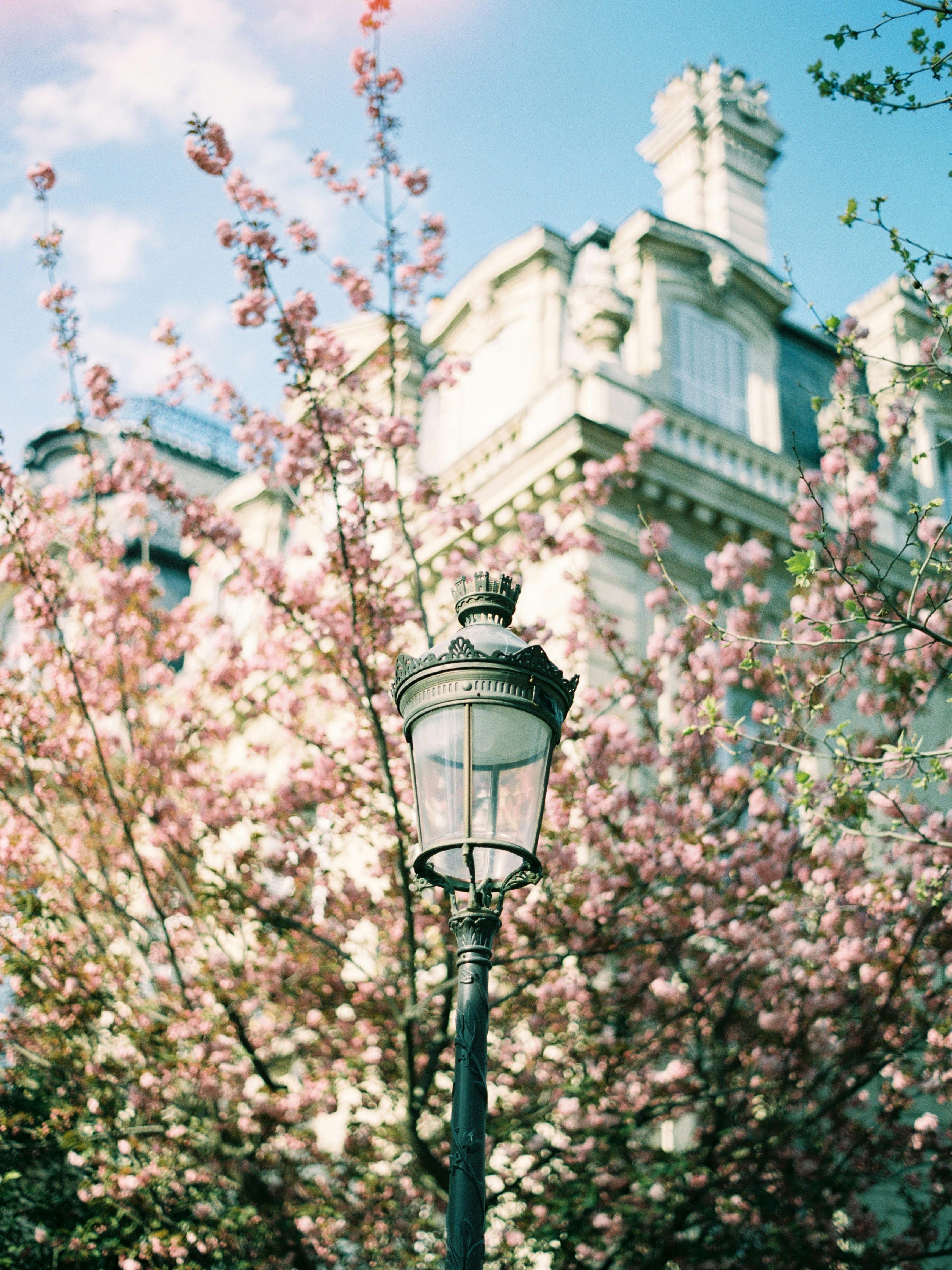 1,000+ Best Street Light Photos · 100% Free Download · Pexels Stock Photos