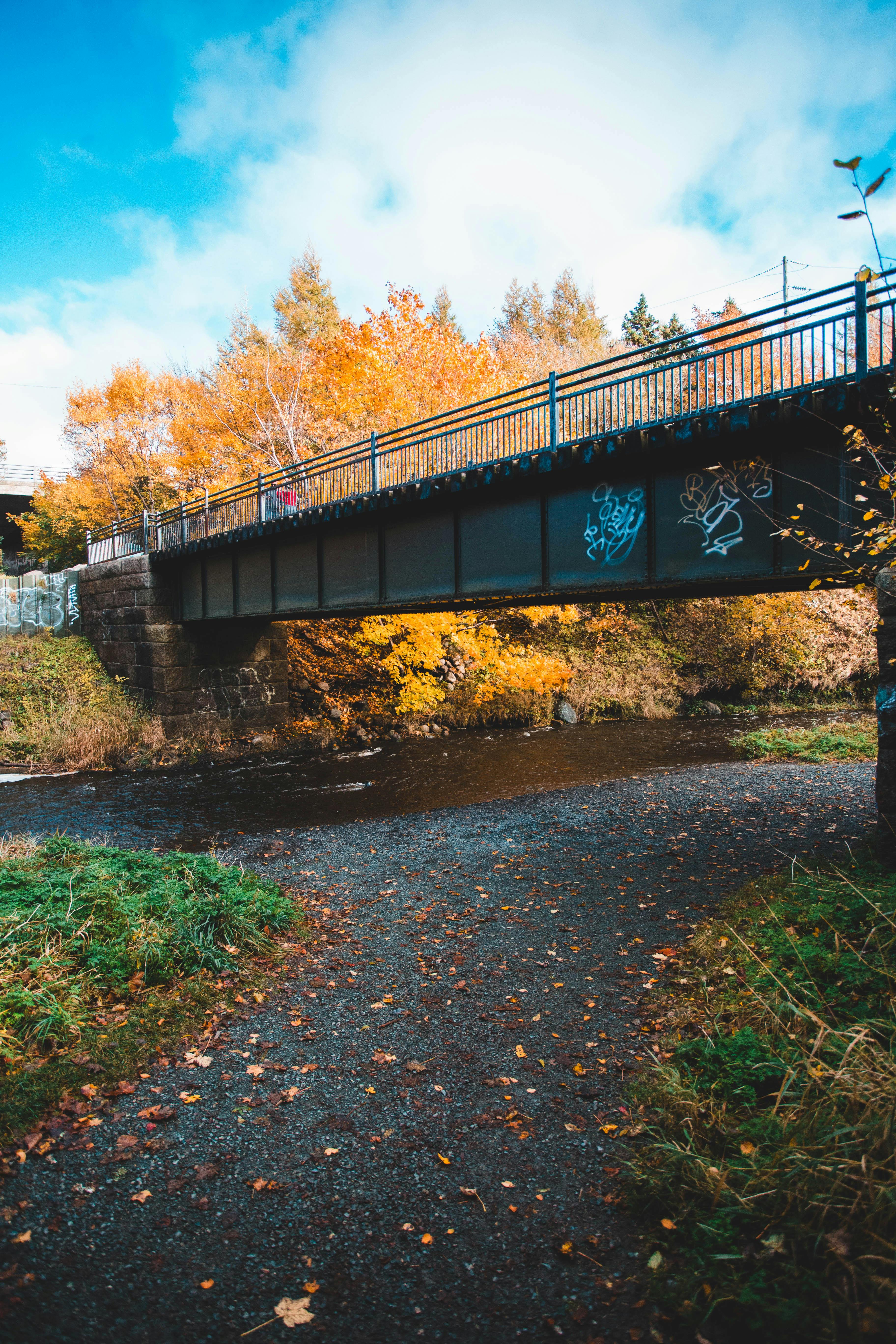 Steel Bridge Over Shallow River · Free Stock Photo