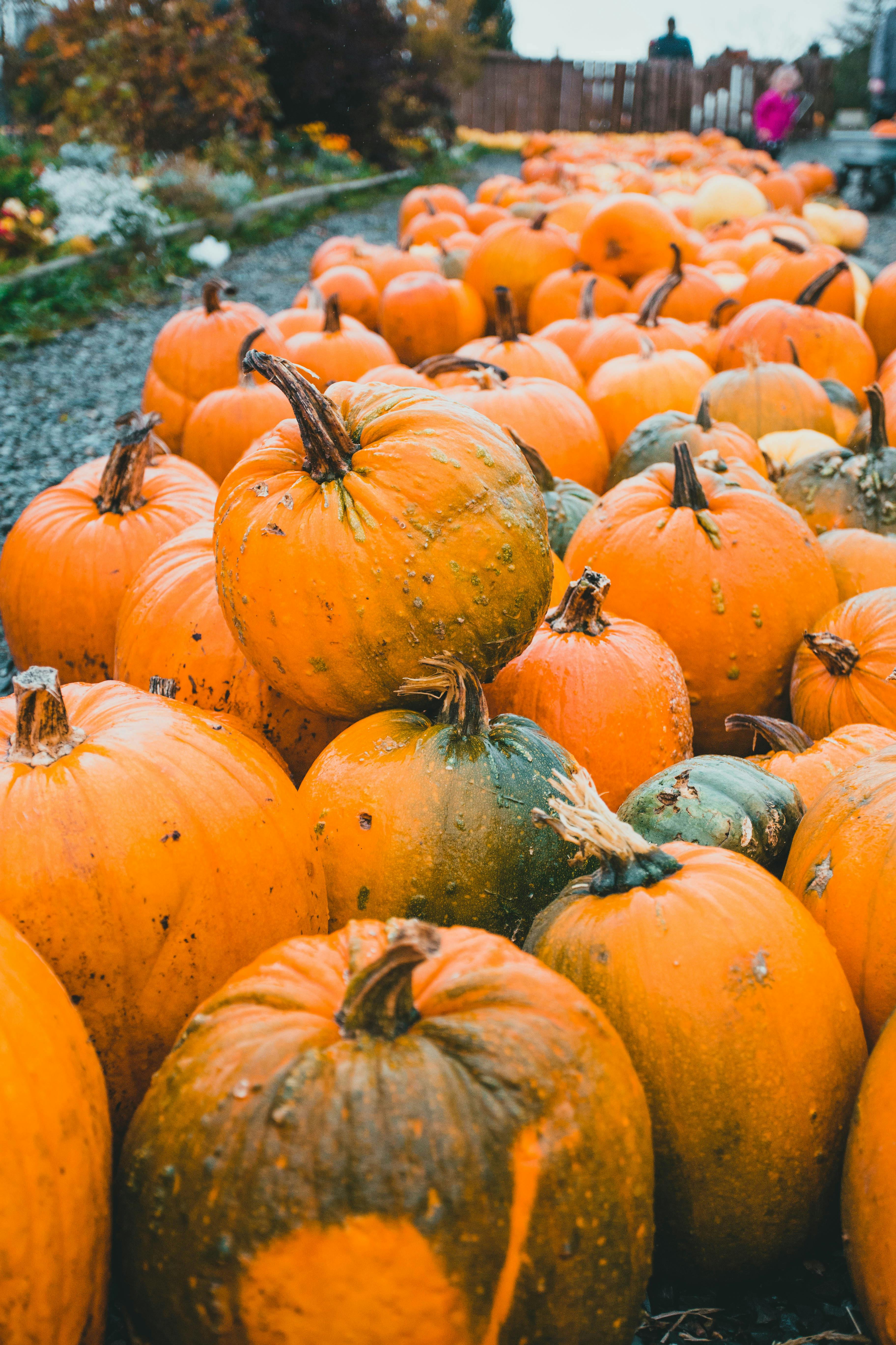 Close up of Orange Stripes · Free Stock Photo