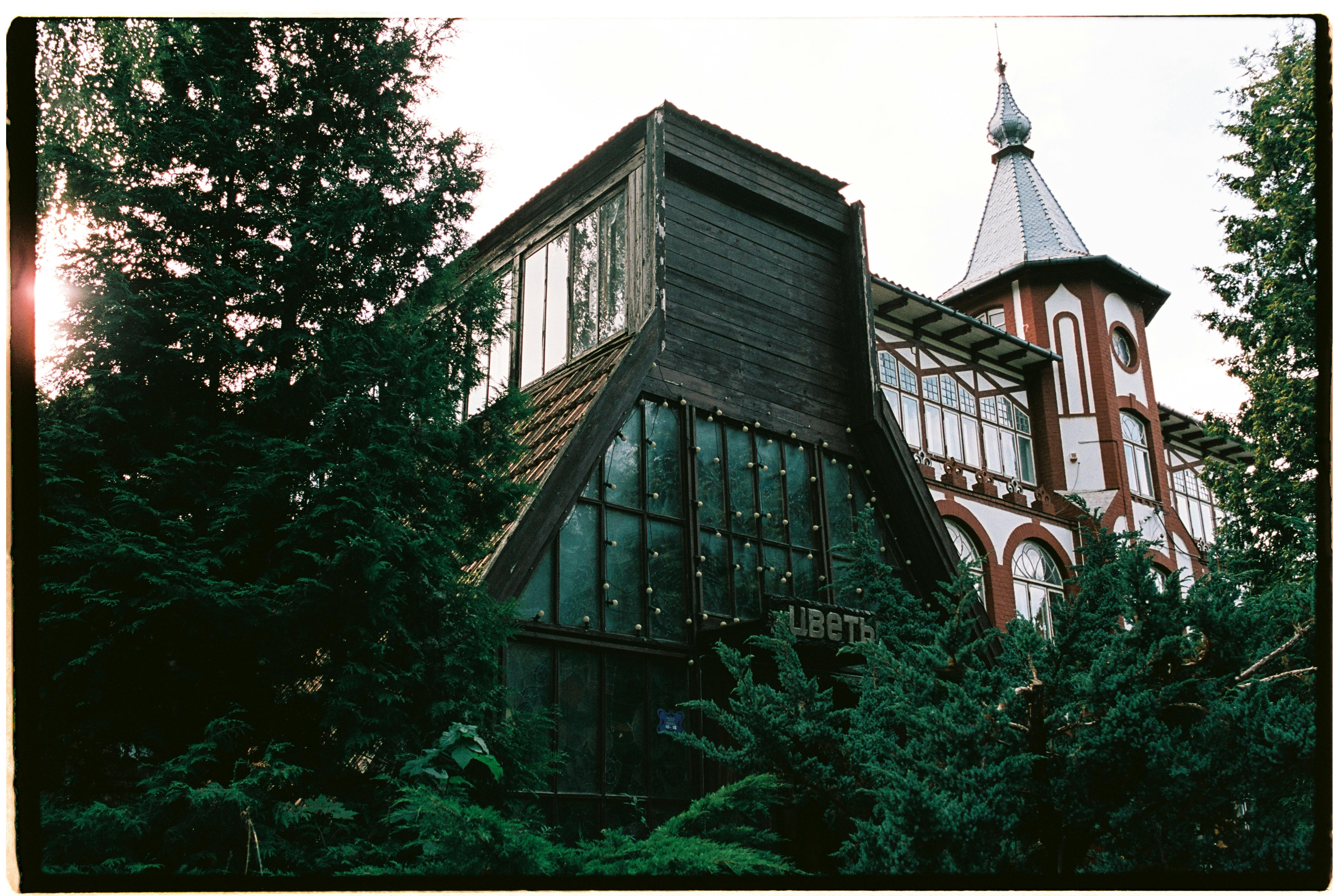 Trees near Buildings · Free Stock Photo