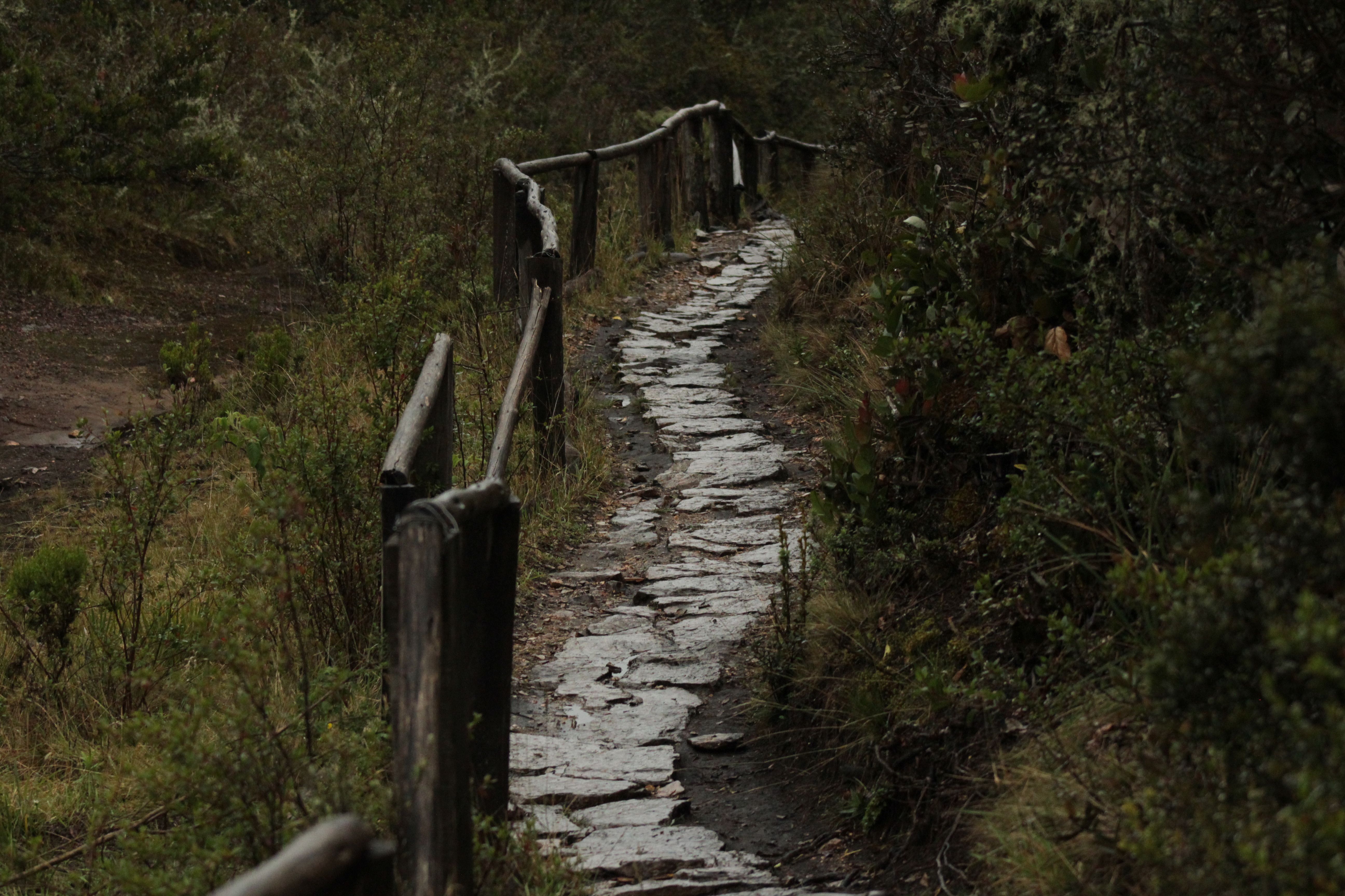 Brown Wooden Fence on River · Free Stock Photo