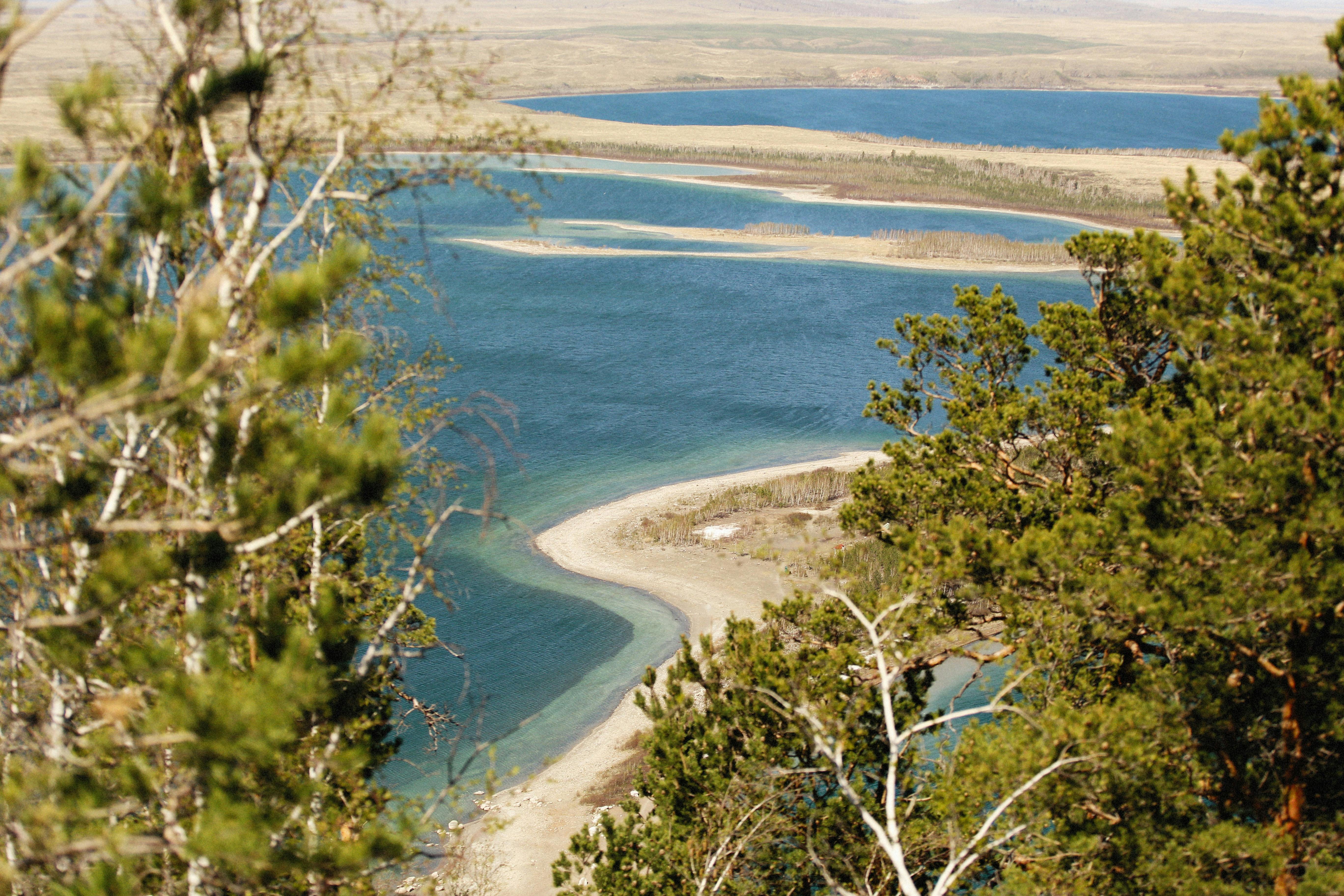 Aerial Photography of Beach Shore · Free Stock Photo