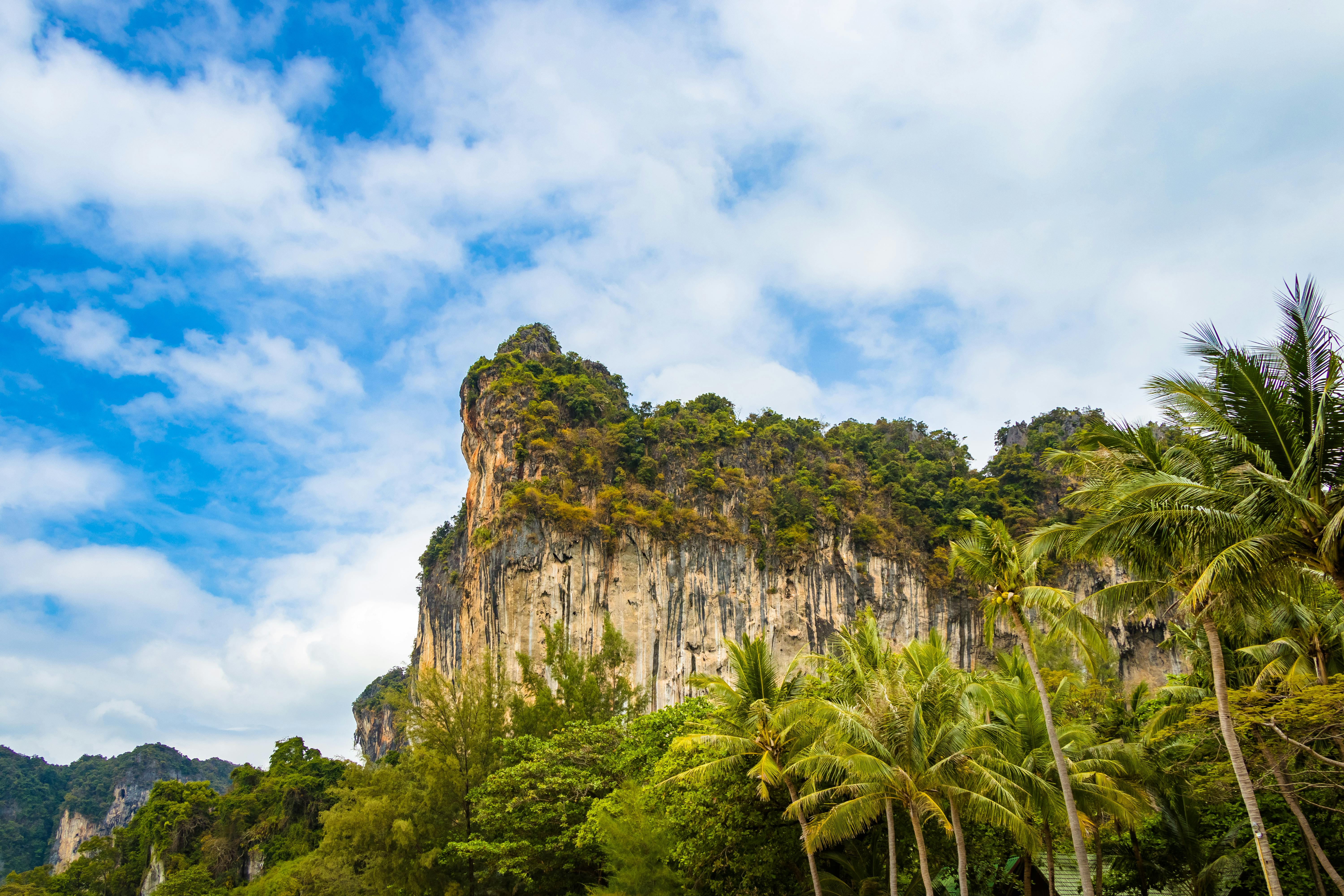 Scenic View of the Field During Sunset · Free Stock Photo