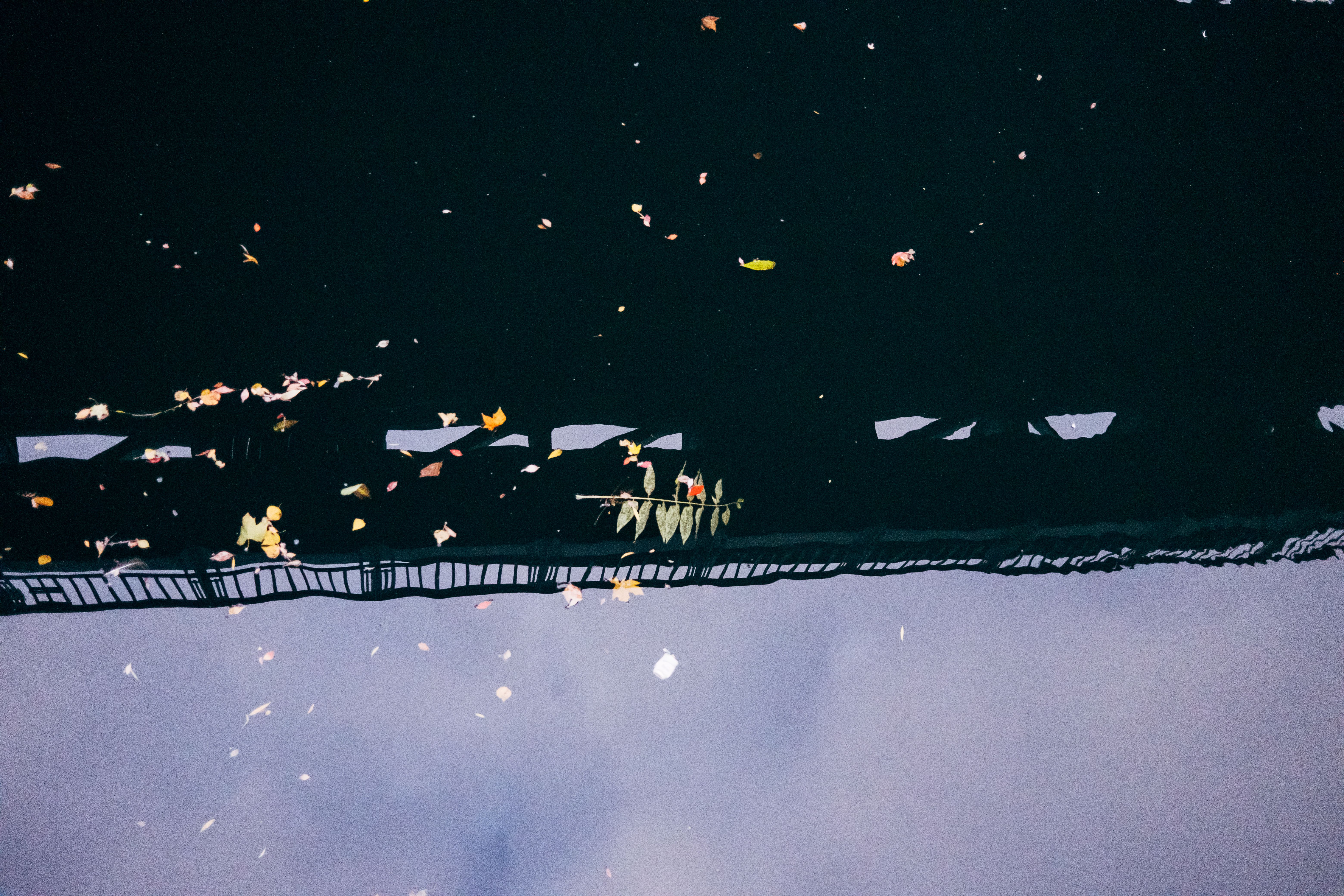 Bridge Reflection on Water · Free Stock Photo