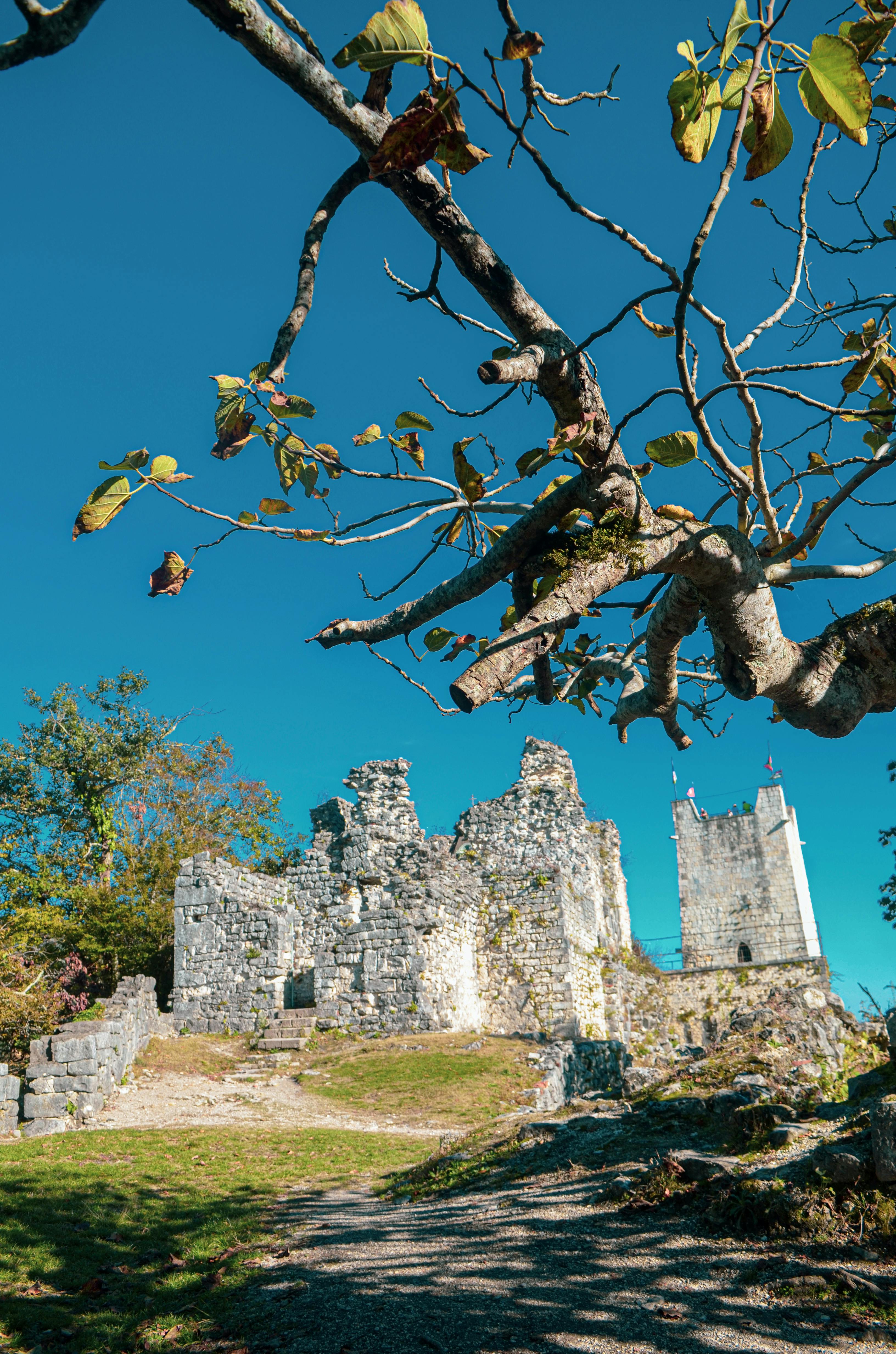 Stone Castle Ruins on Hill · Free Stock Photo