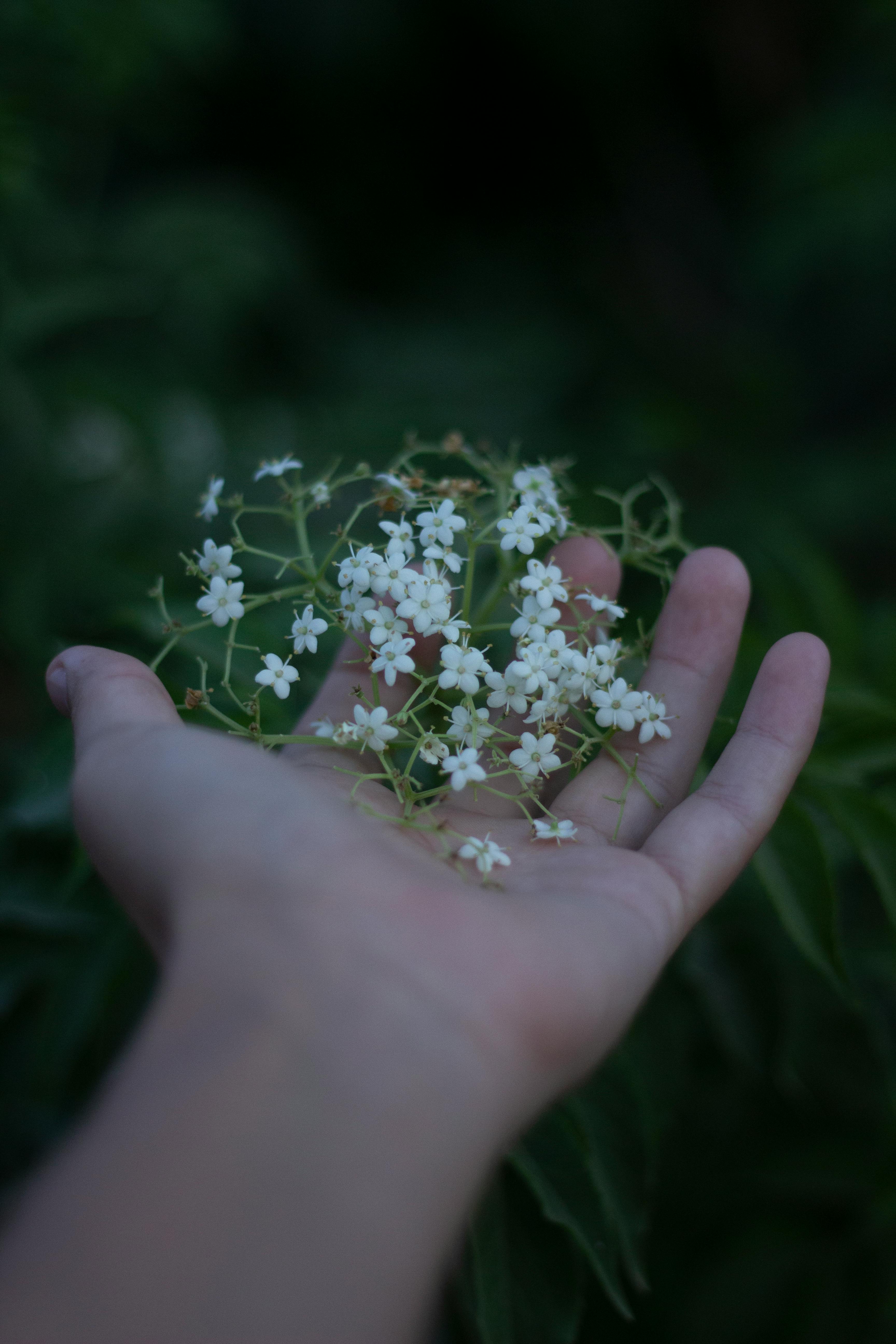 Two People Touching Each Other's Hands · Free Stock Photo