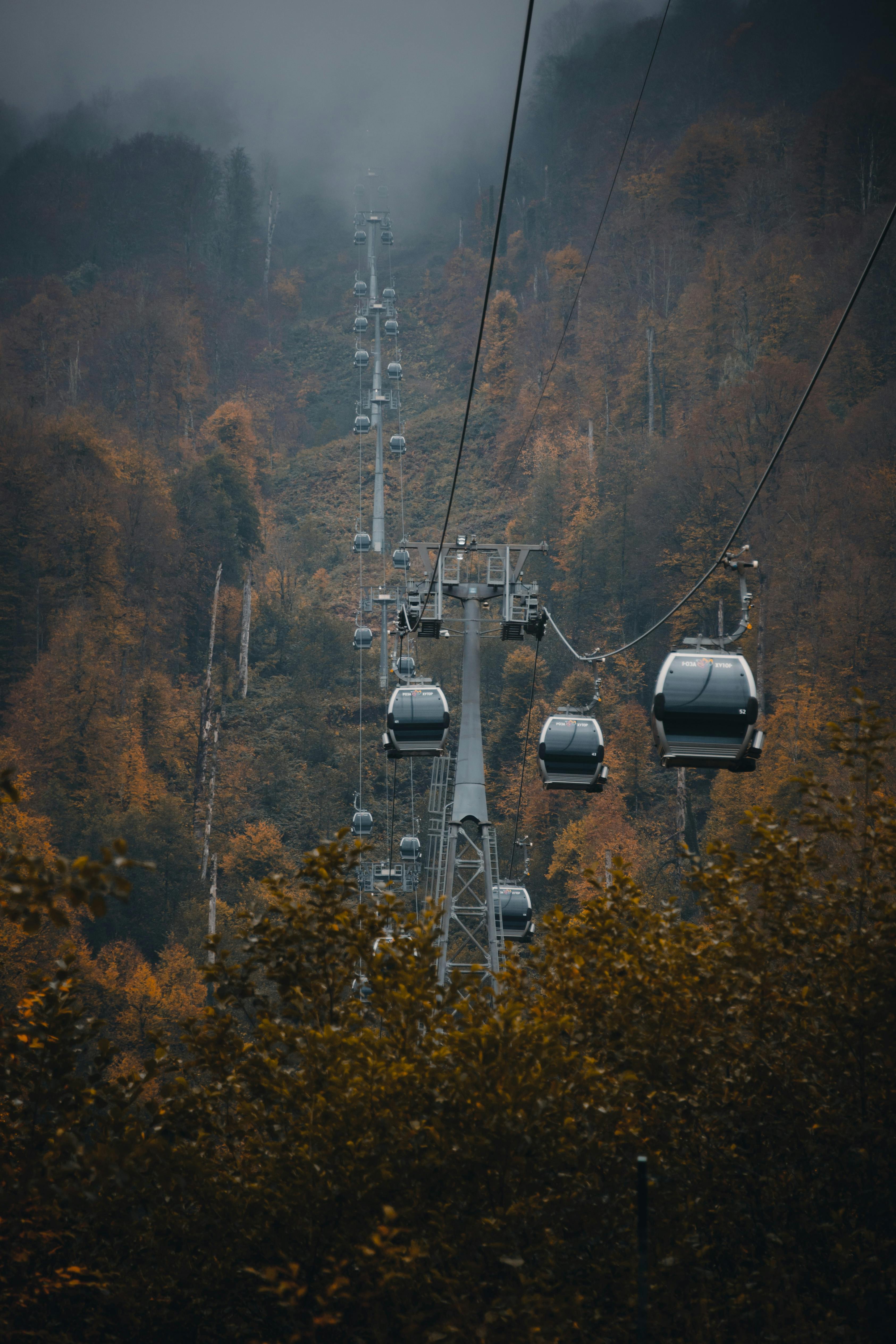 Cable Cars over the Trees · Free Stock Photo