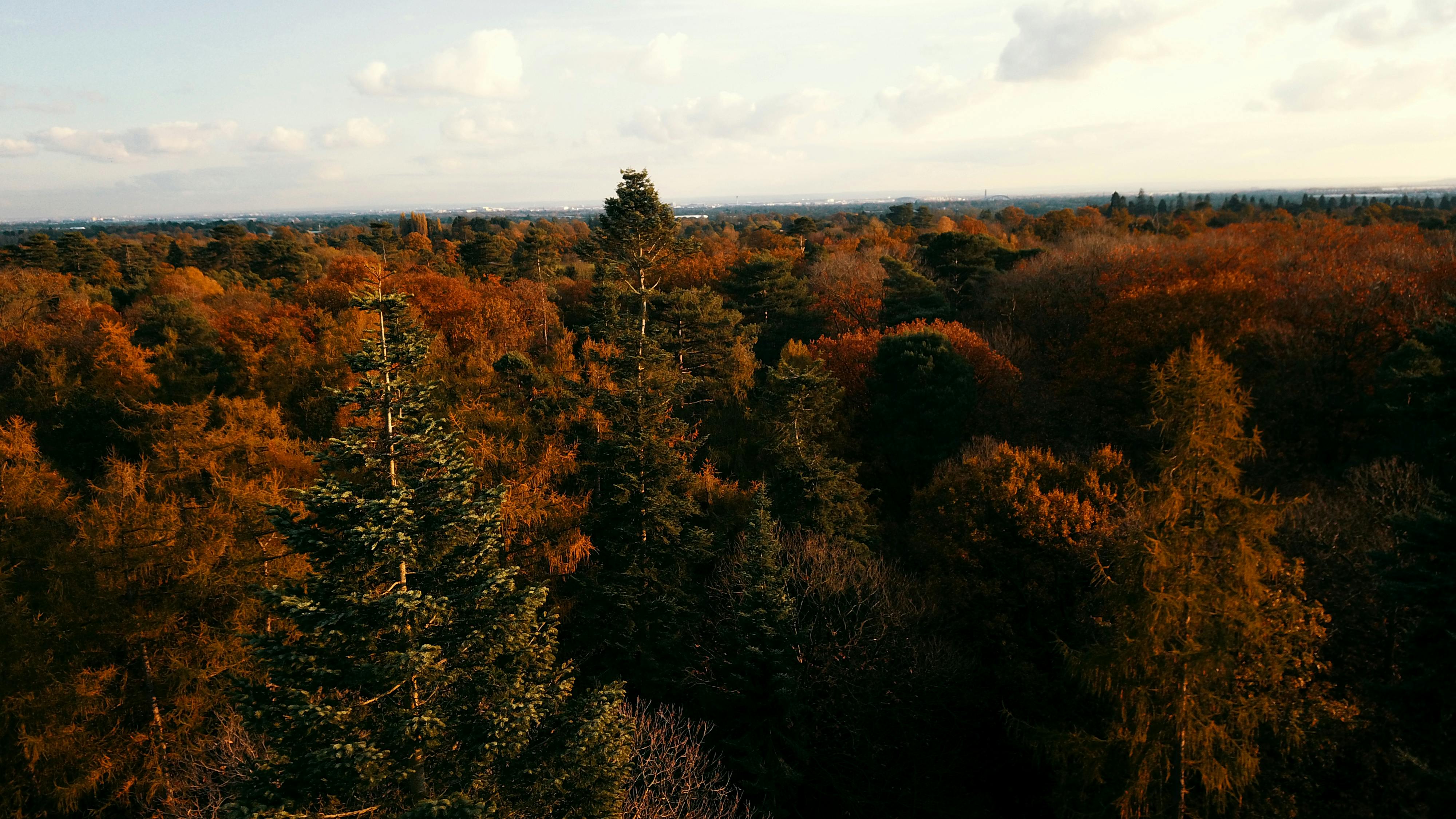 Nathan Jacobs - Fotografie