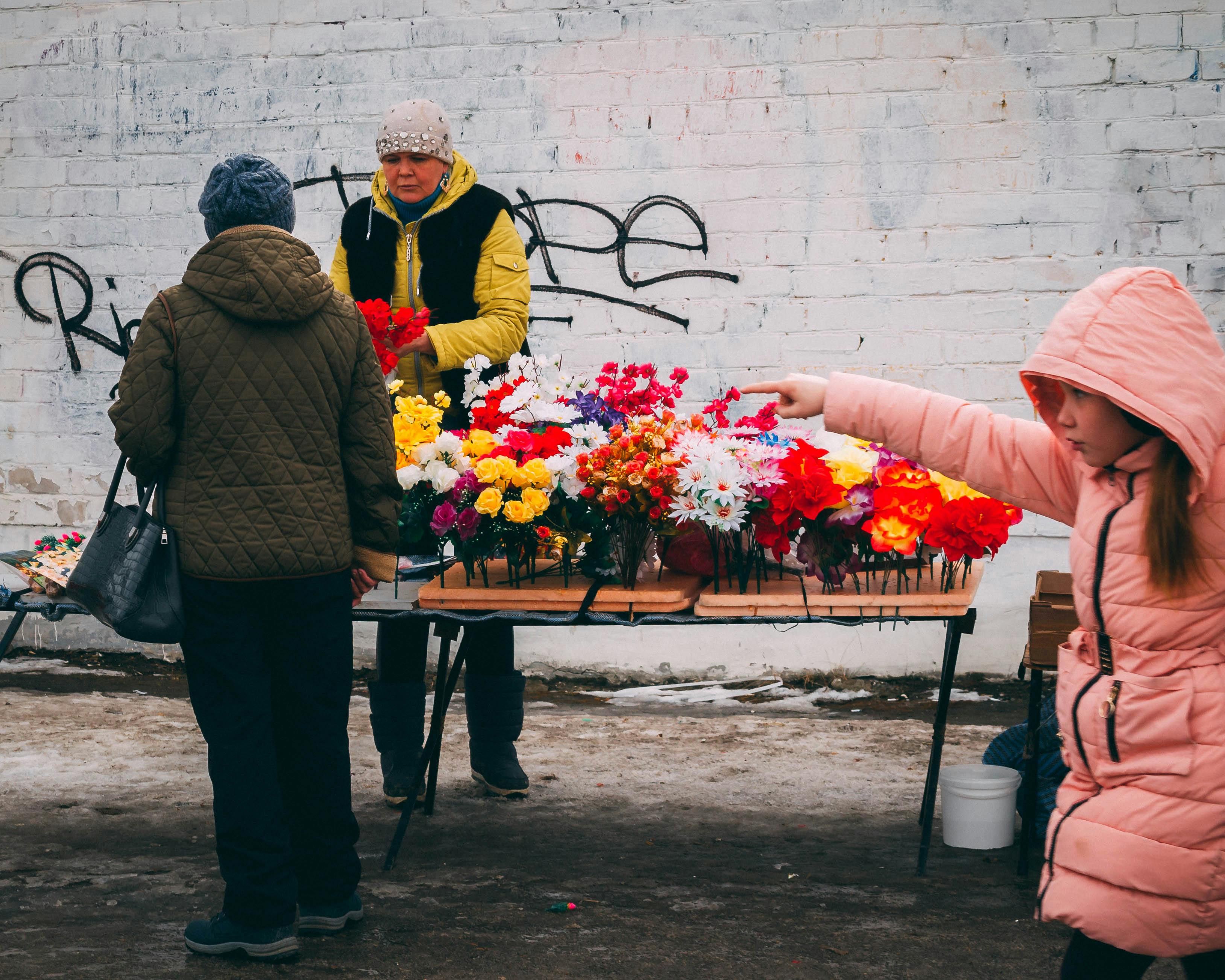 Flowers Motion Photos, Download The BEST Free Flowers Motion Stock ...