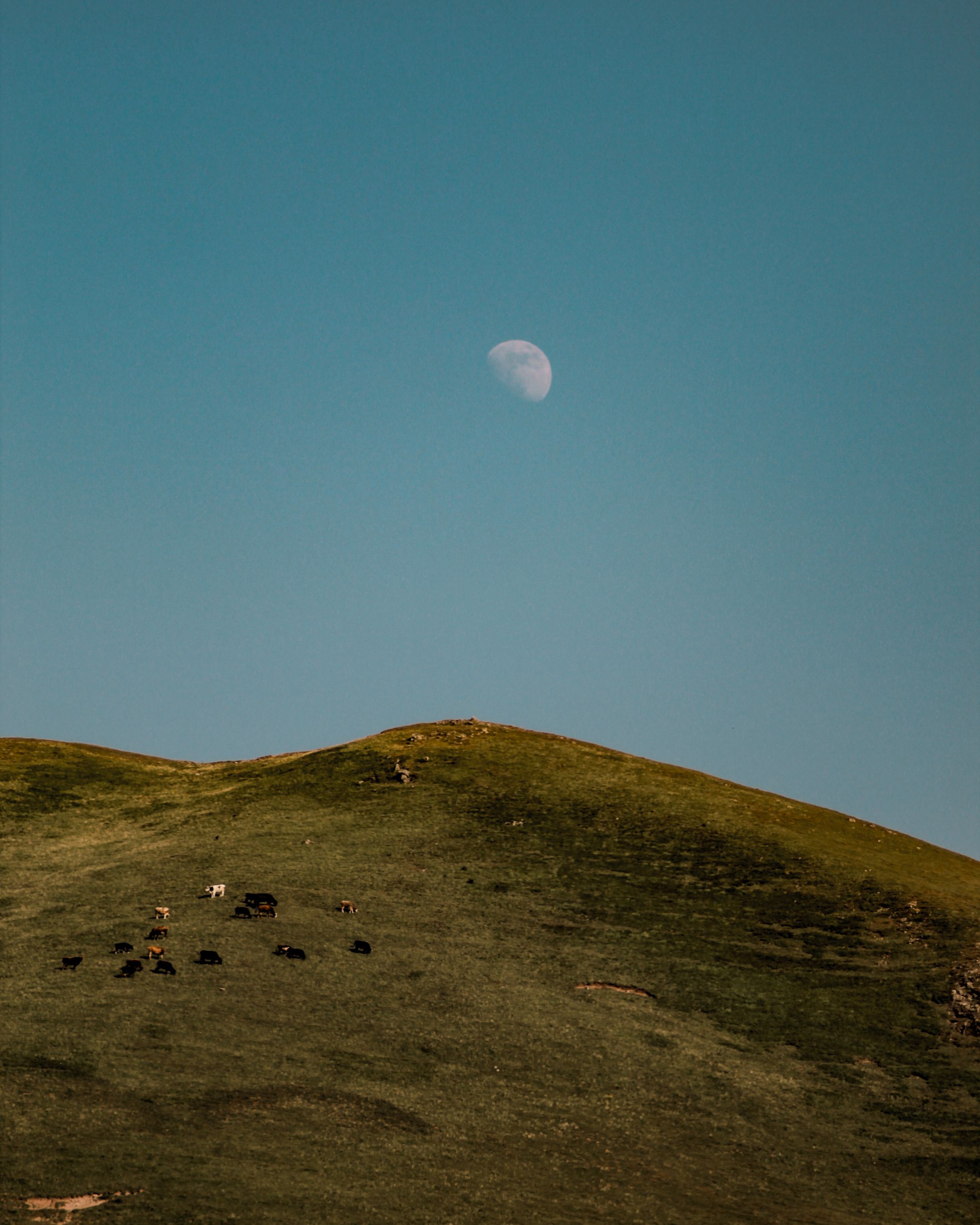 Animated Moon Photos, Download The BEST Free Animated Moon Stock Photos ...