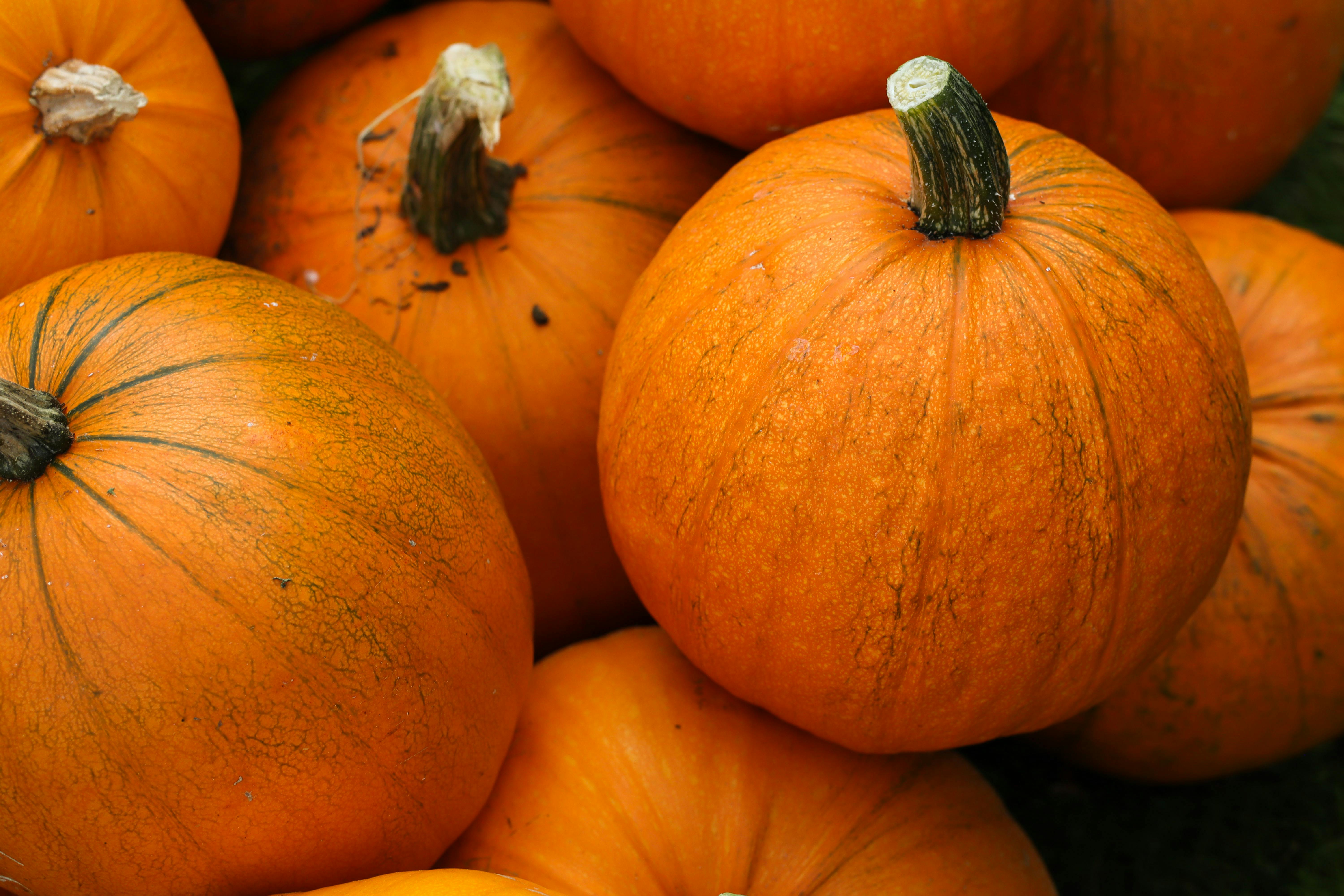 A Pile of Orange Pumpkins · Free Stock Photo
