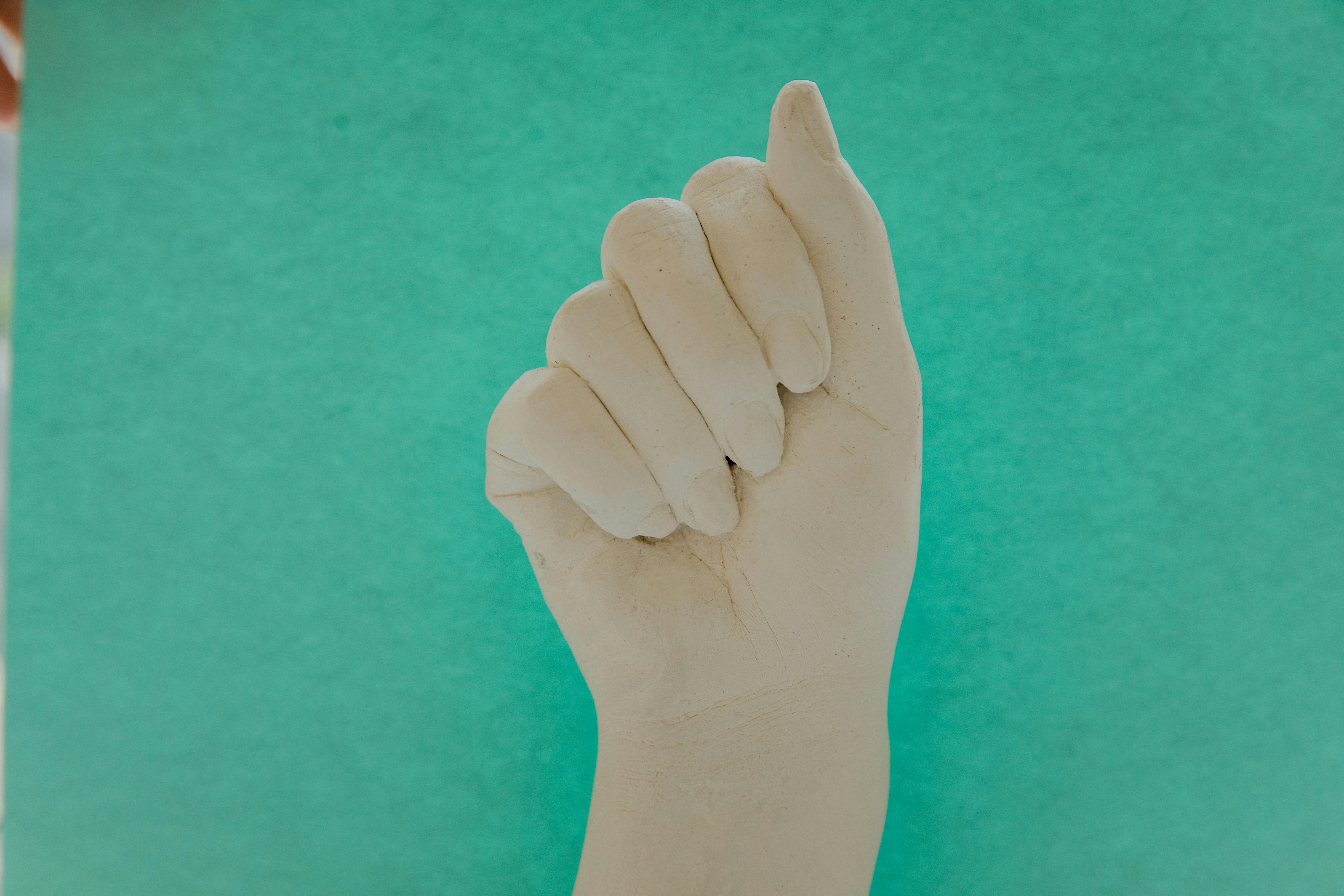 Person's Hand · Free Stock Photo