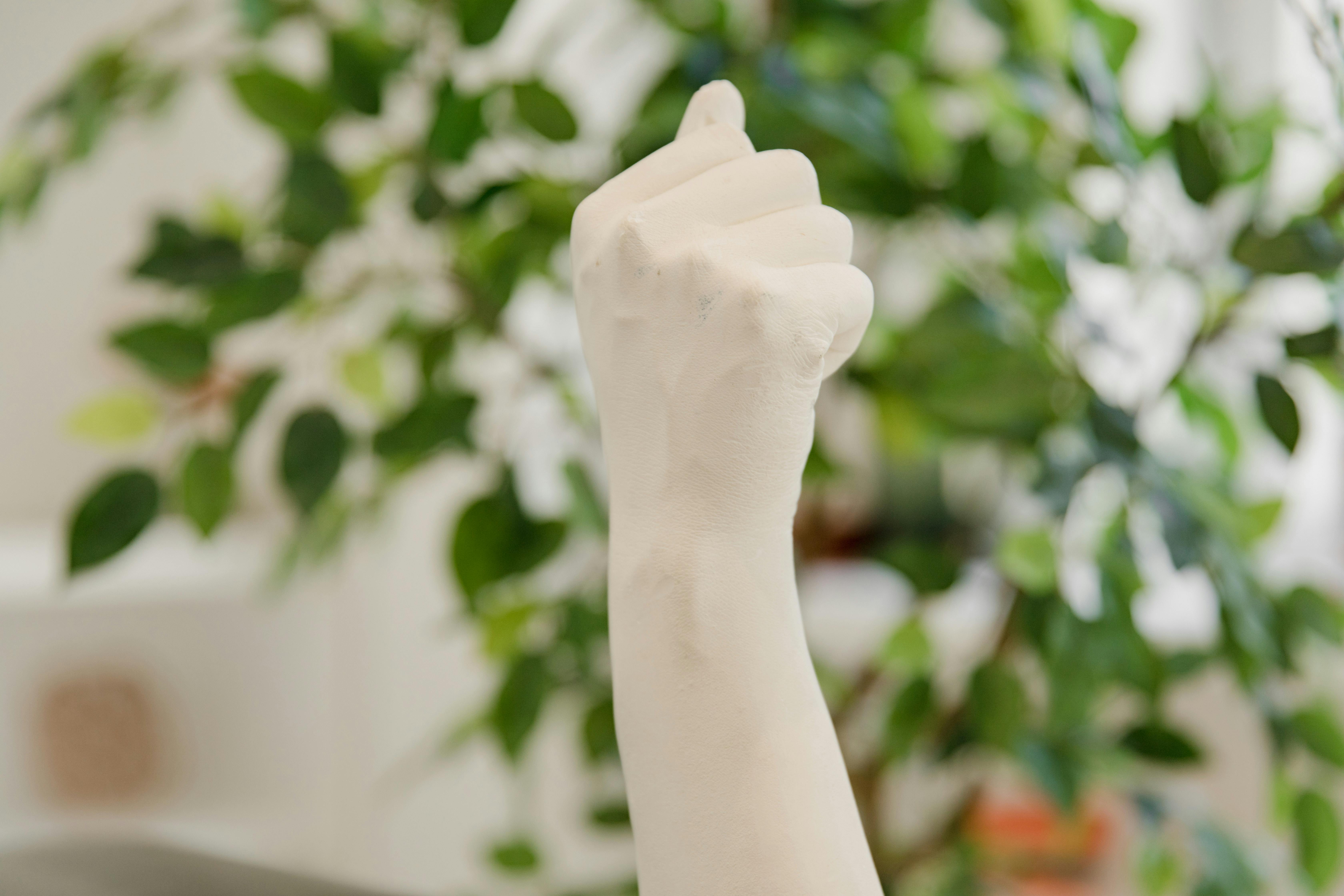 Hand Form in front of Plant · Free Stock Photo