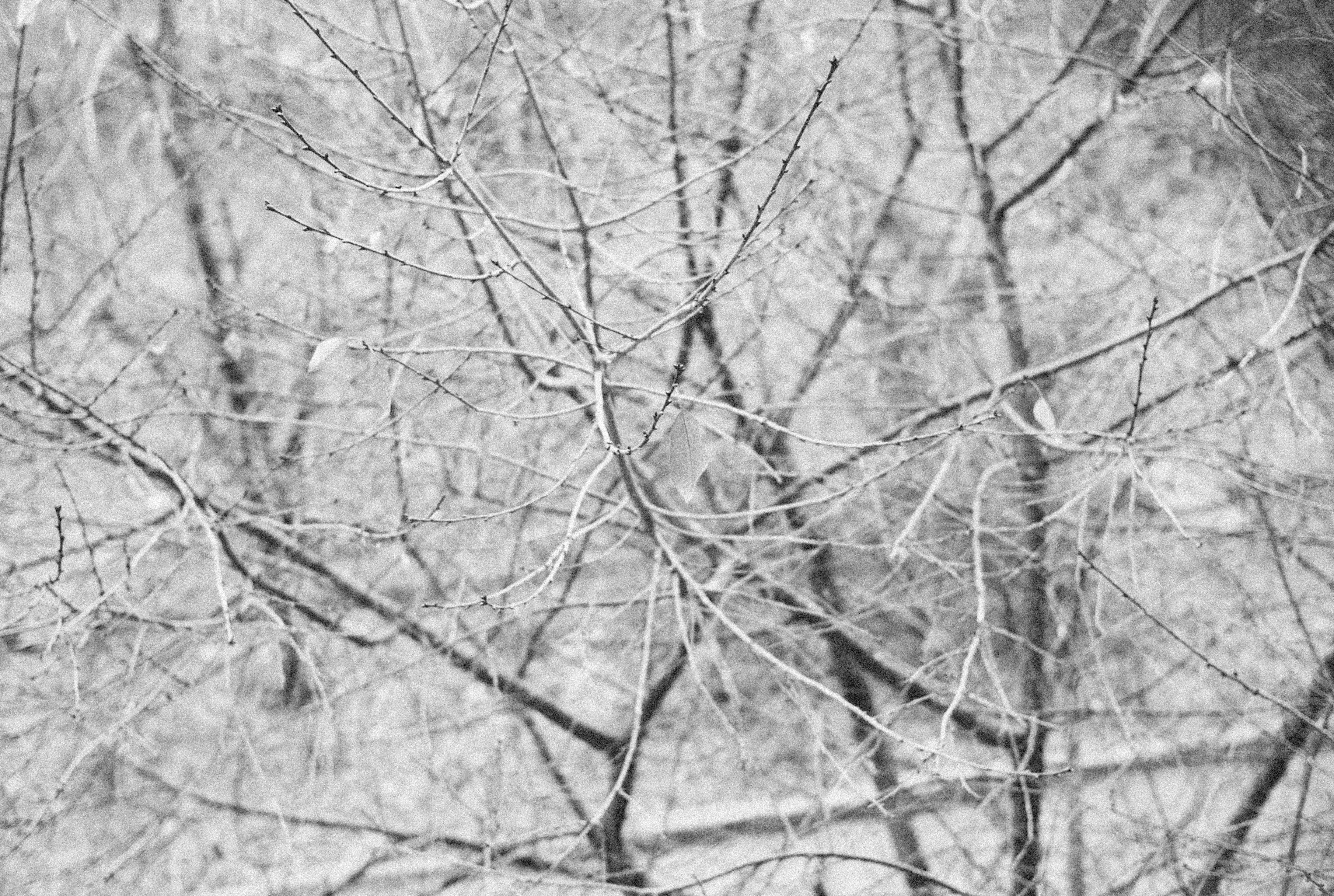 Grayscale Photo of White Textile · Free Stock Photo