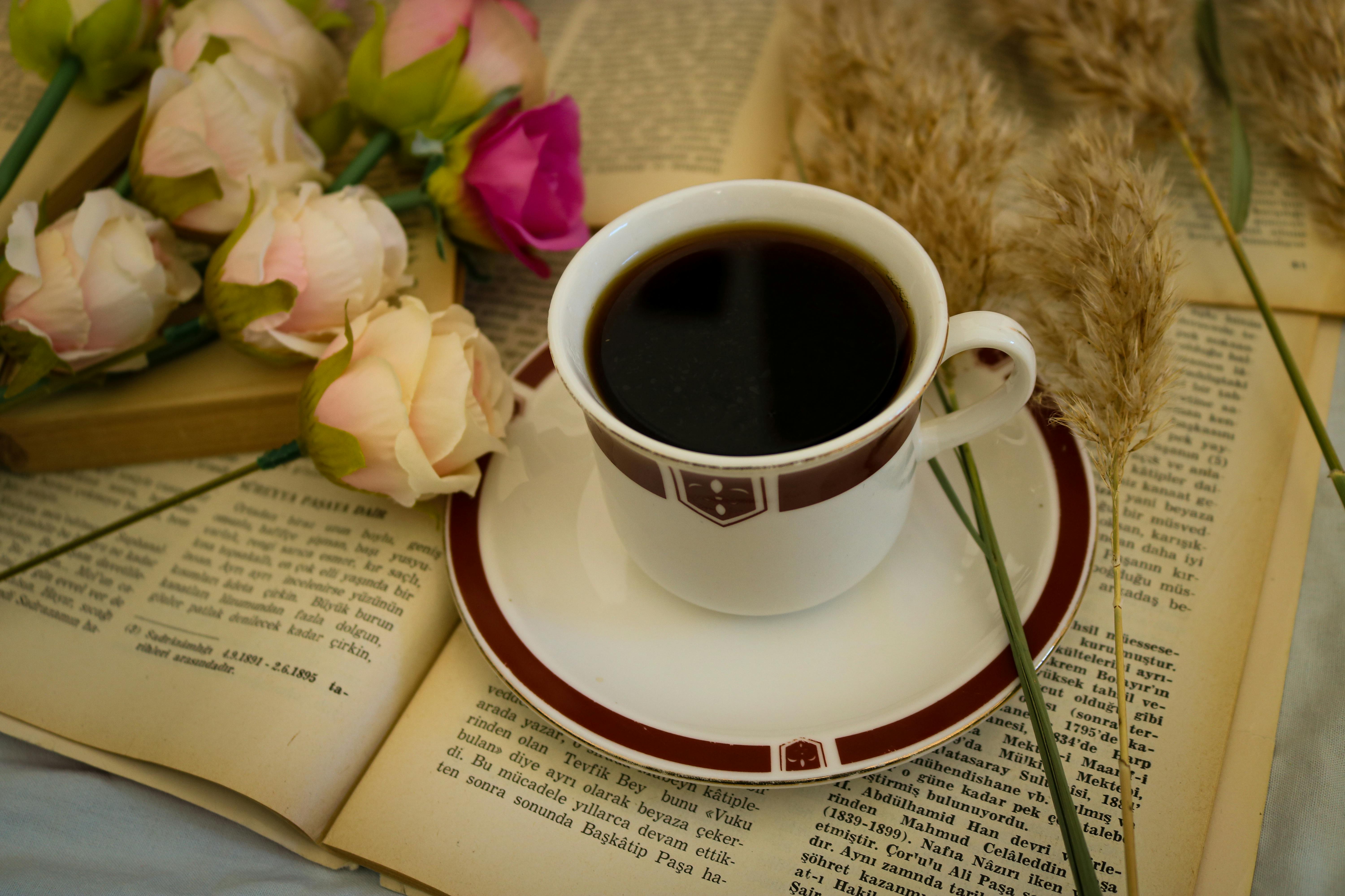 Reed Book Photos, Download The BEST Free Reed Book Stock Photos & HD Images