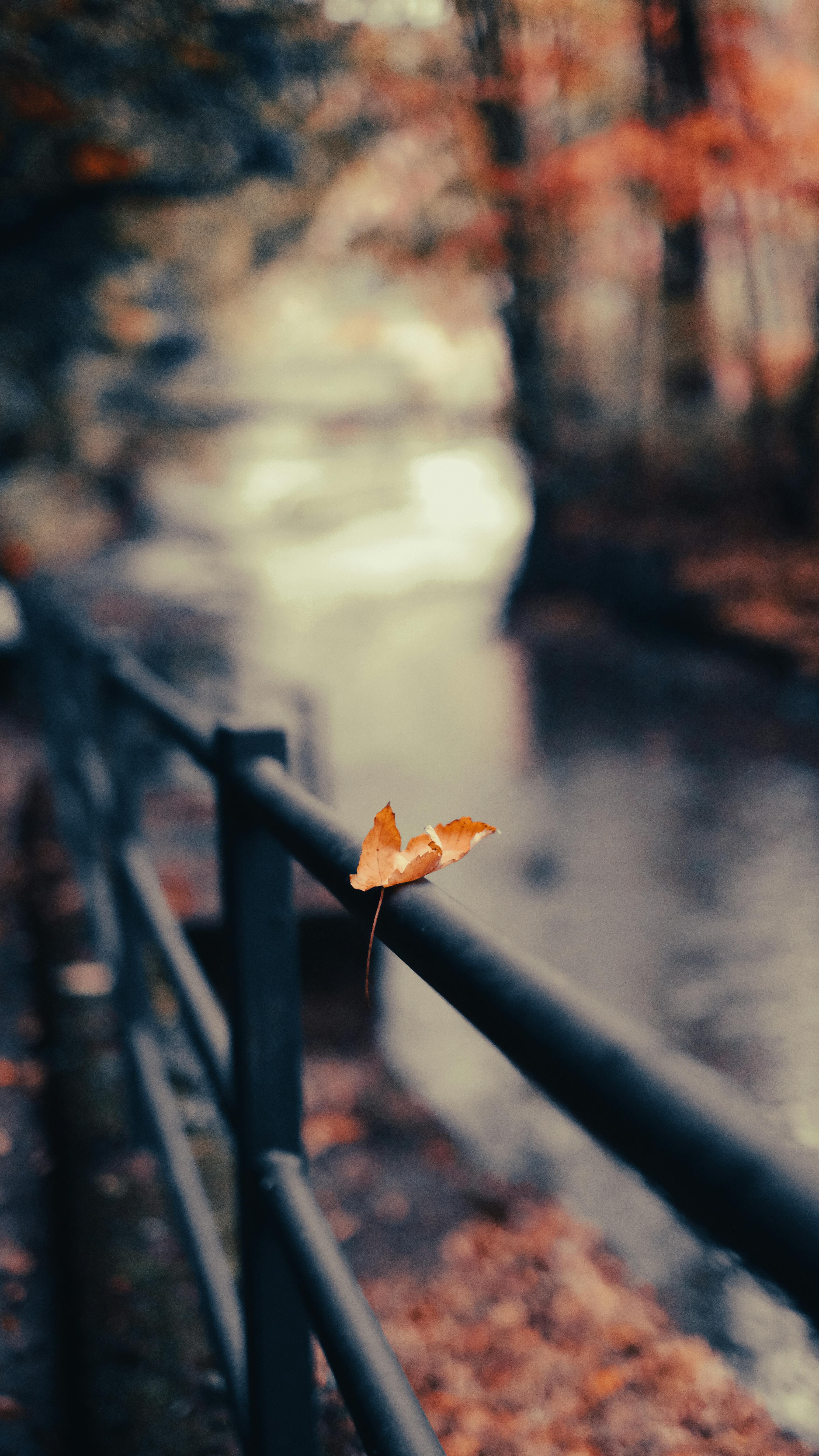 Sad Background Photos, Download The BEST Free Sad Background Stock ...