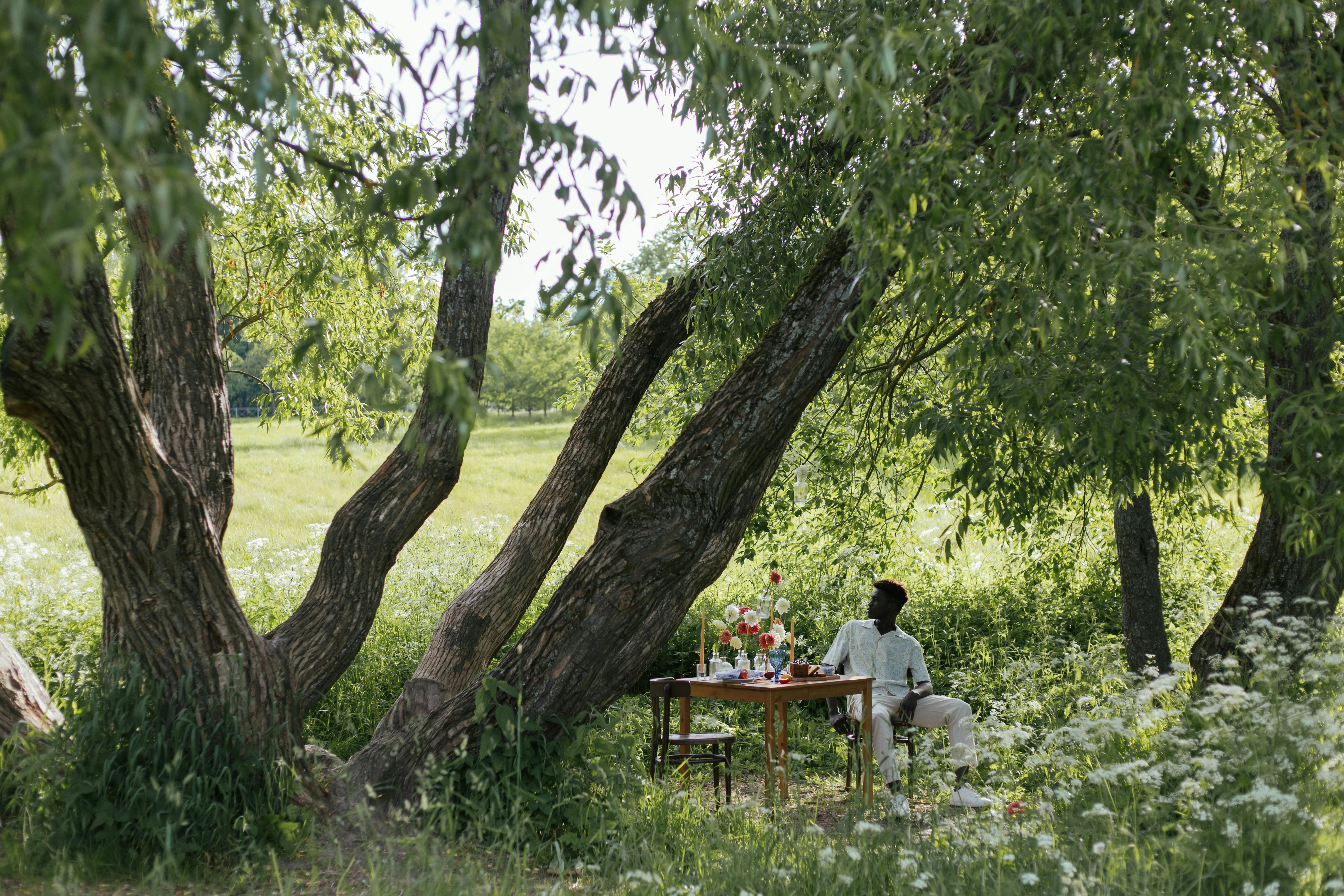 A Man Sitting under the Tree · Free Stock Photo