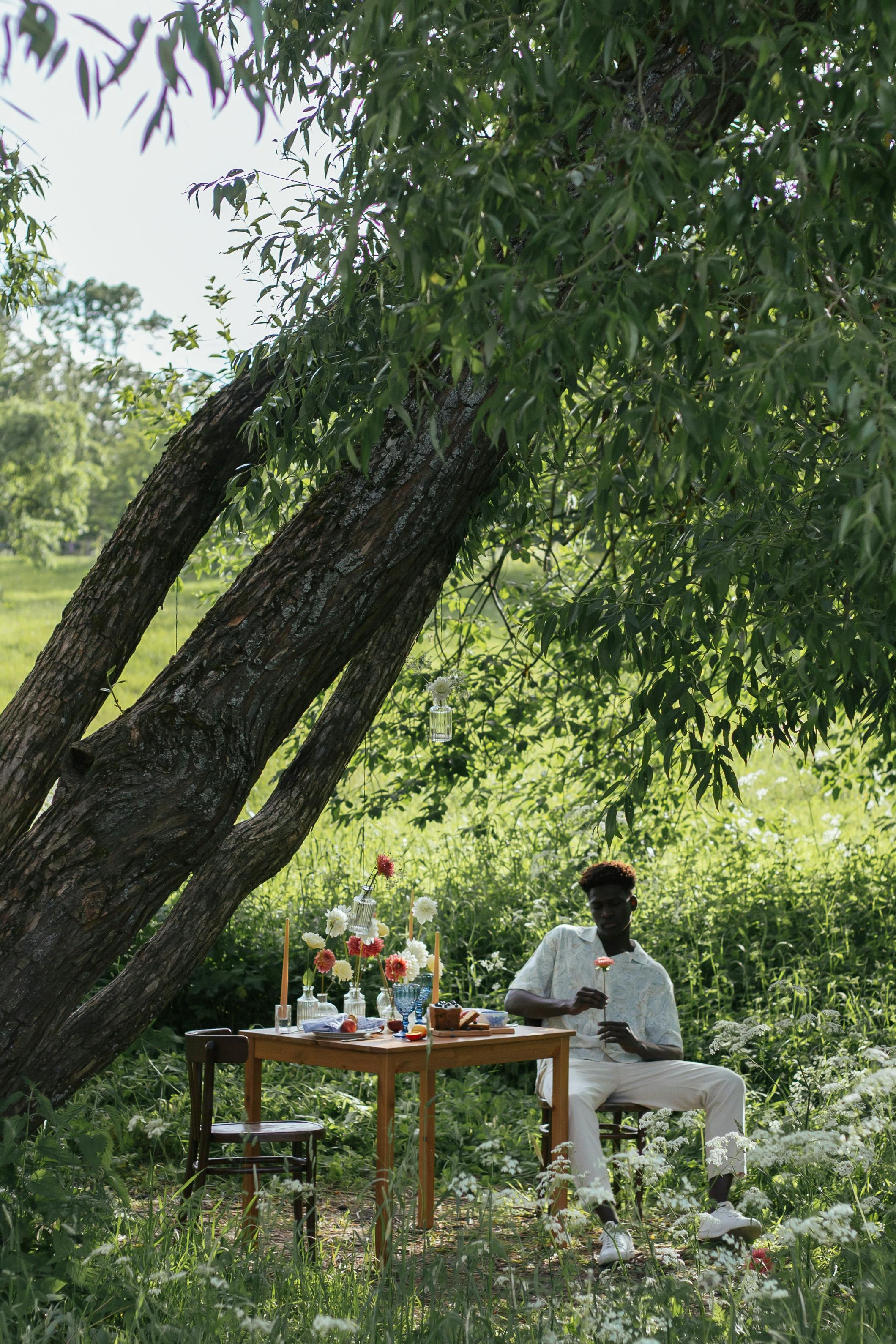 Man Sitting on Chair Under the Tree · Free Stock Photo
