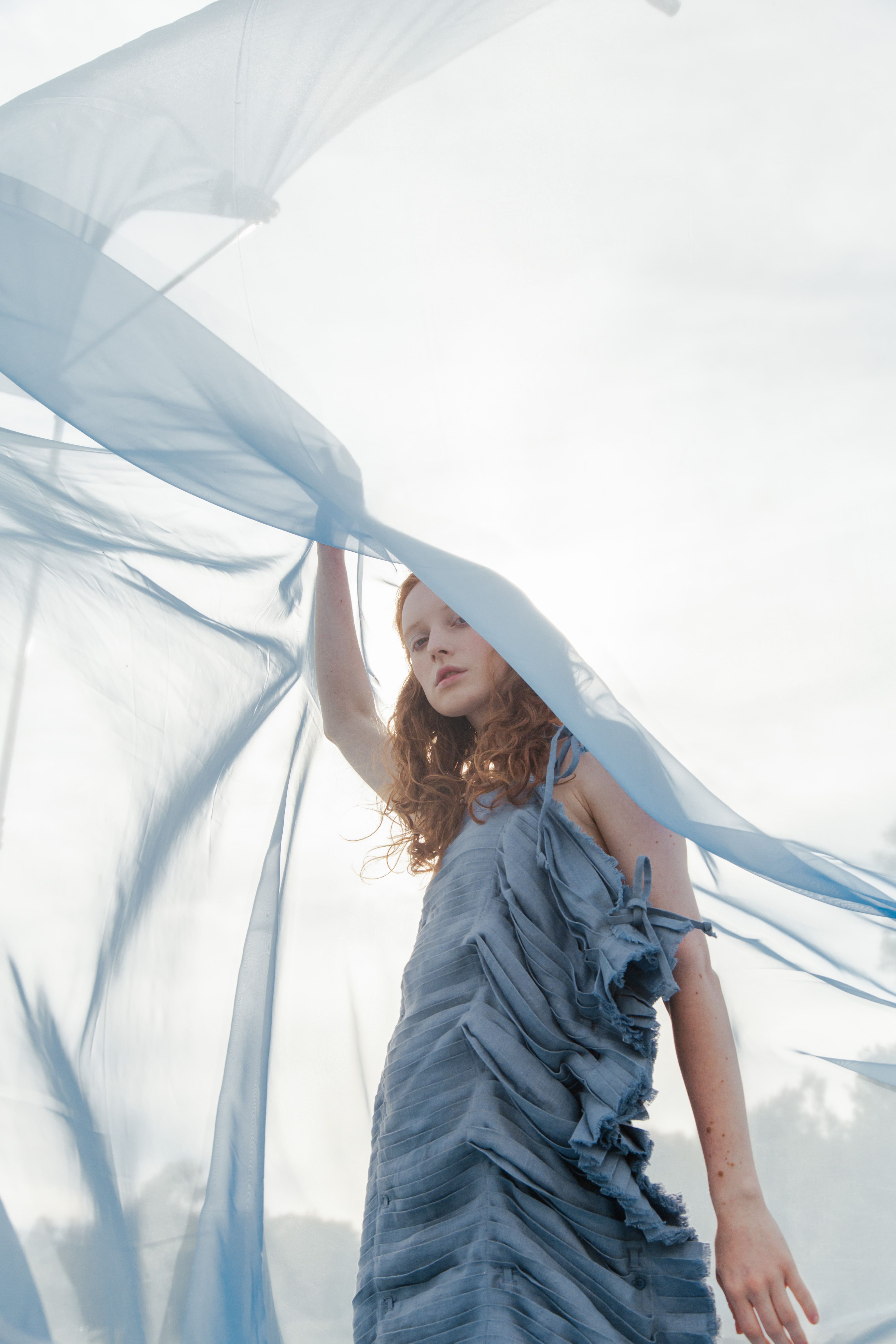 Chiffon Photos, Download The BEST Free Chiffon Stock Photos & HD Images