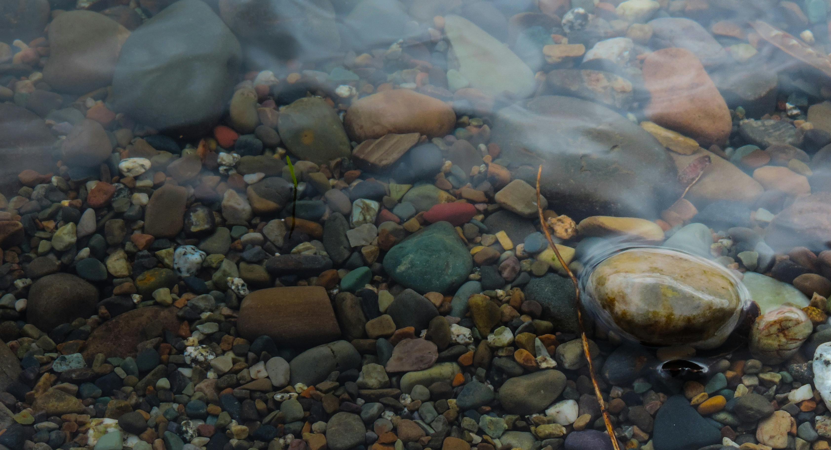 Free stock photo of clear water, rocks, water
