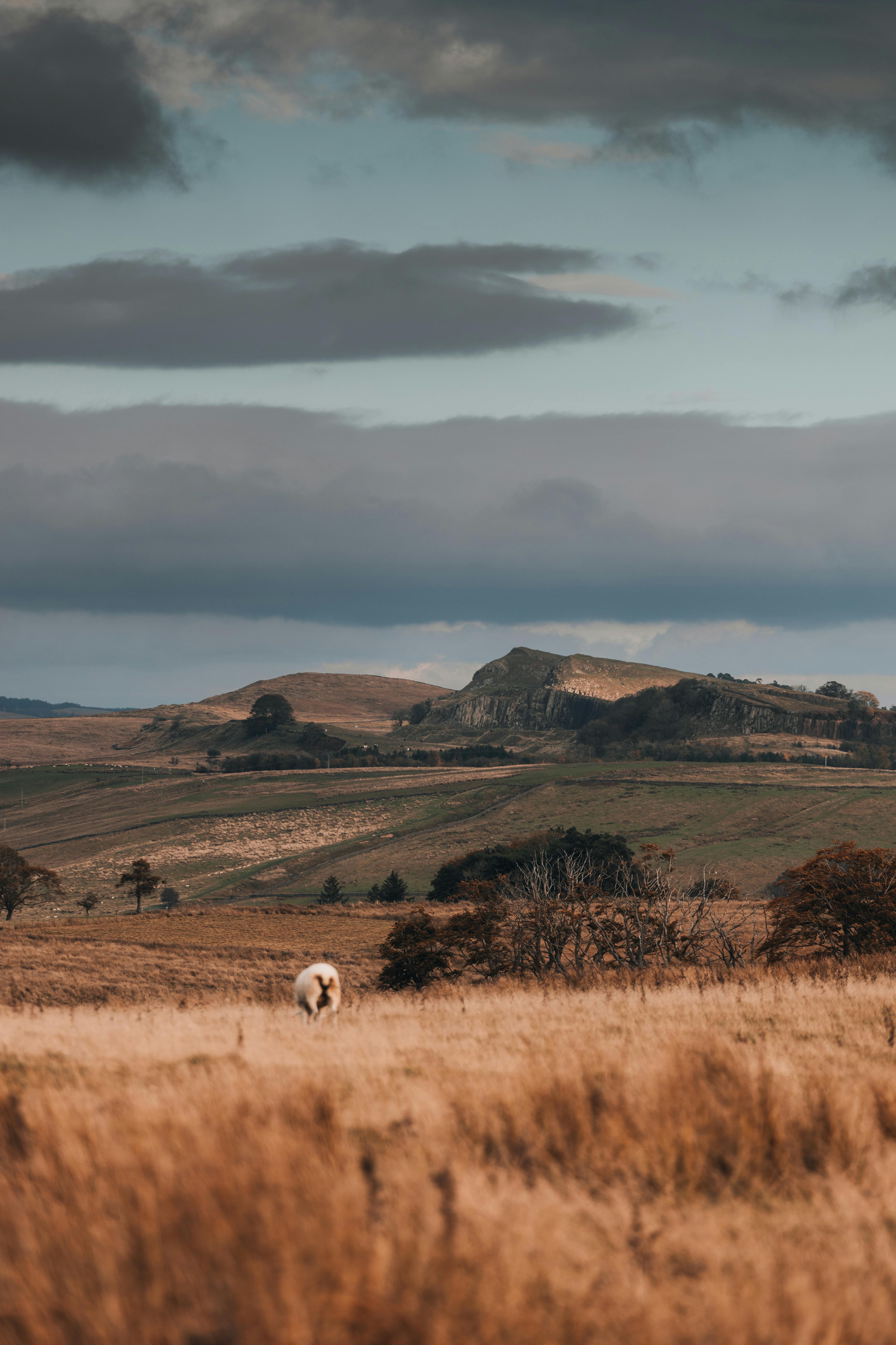 Sunset Fields Photos, Download The BEST Free Sunset Fields Stock Photos ...