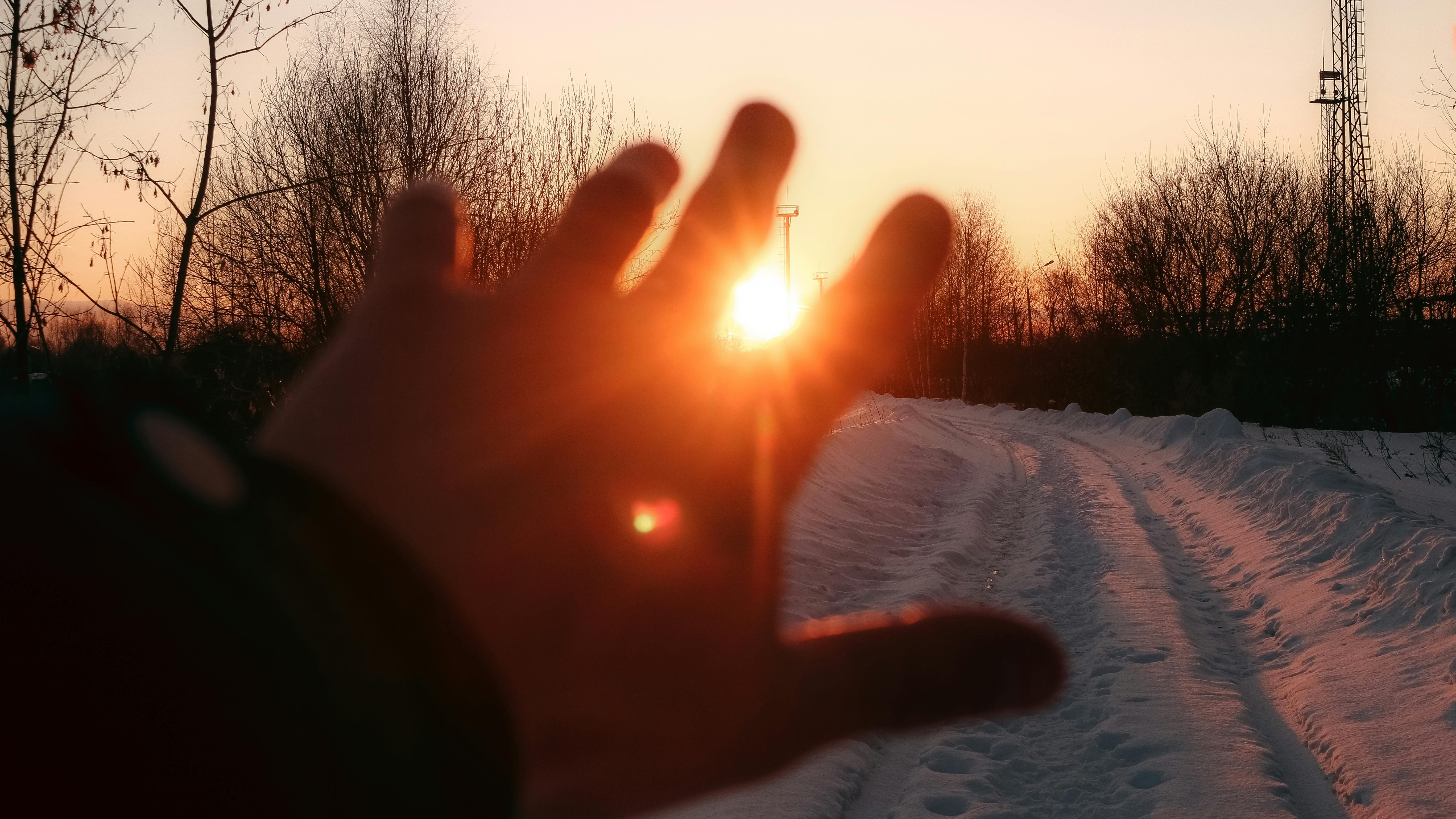 Person's Hand Reaching Out · Free Stock Photo