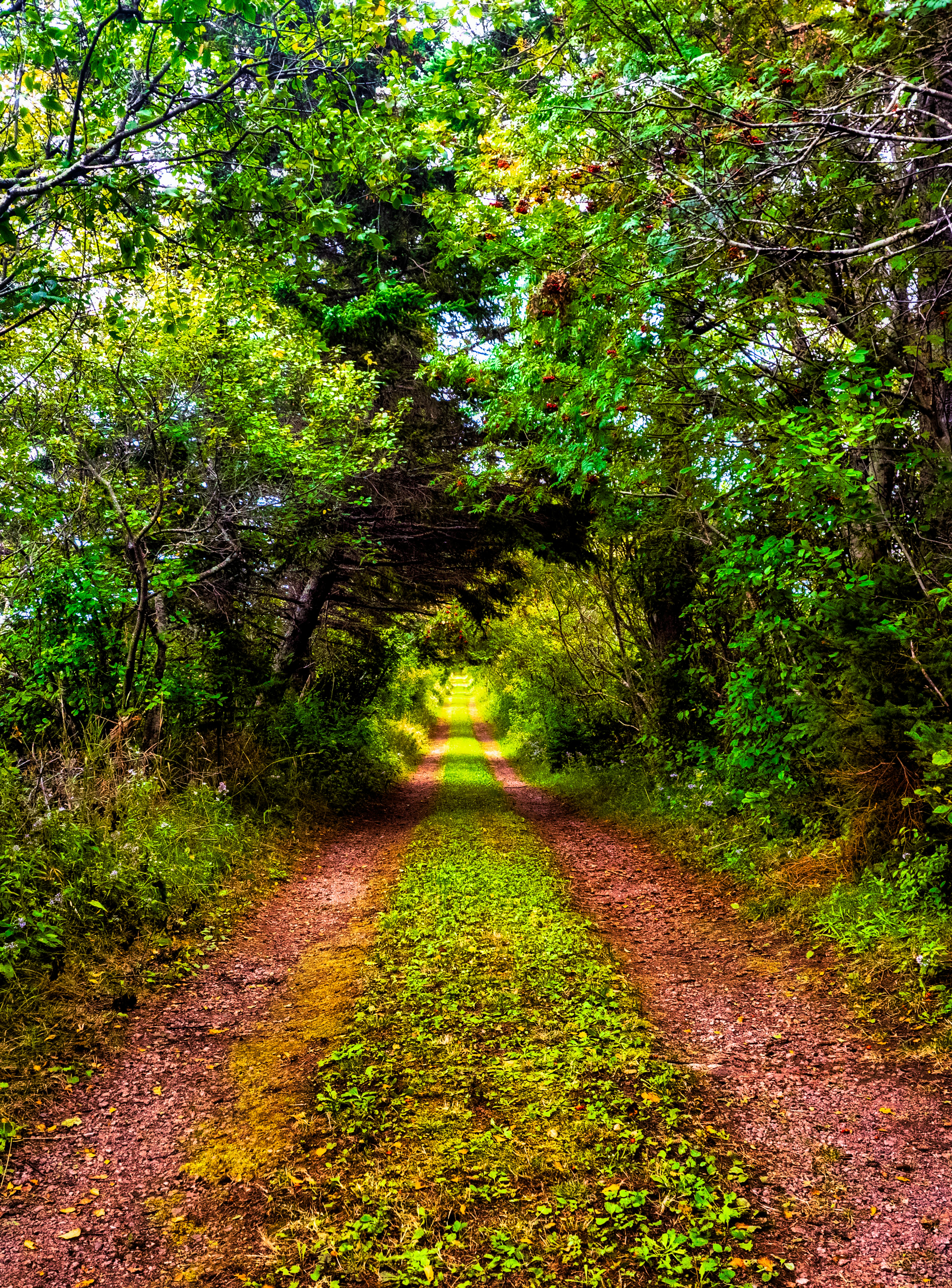 Jason Heisler - 写真