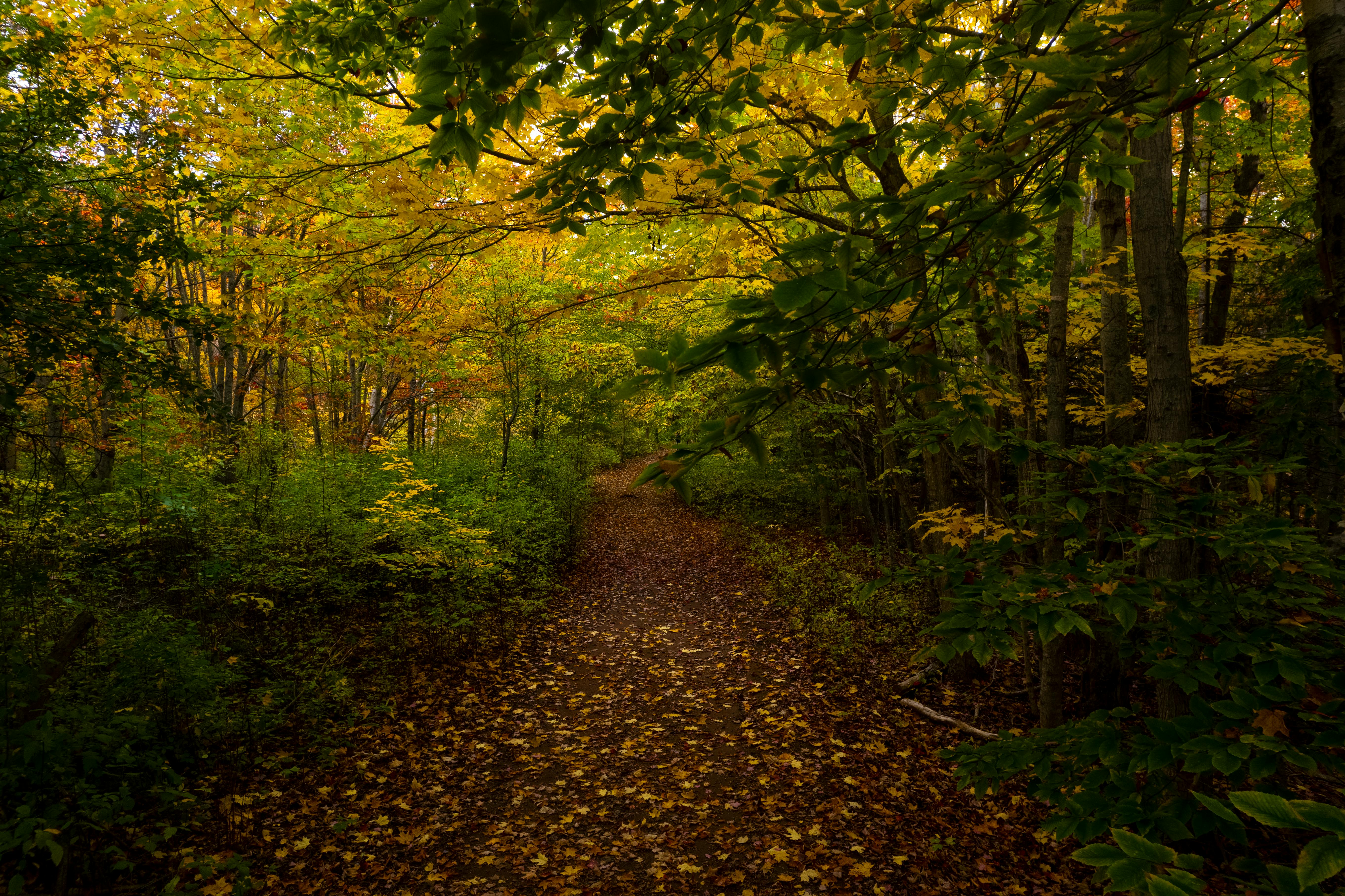 Jason Heisler - 摄影