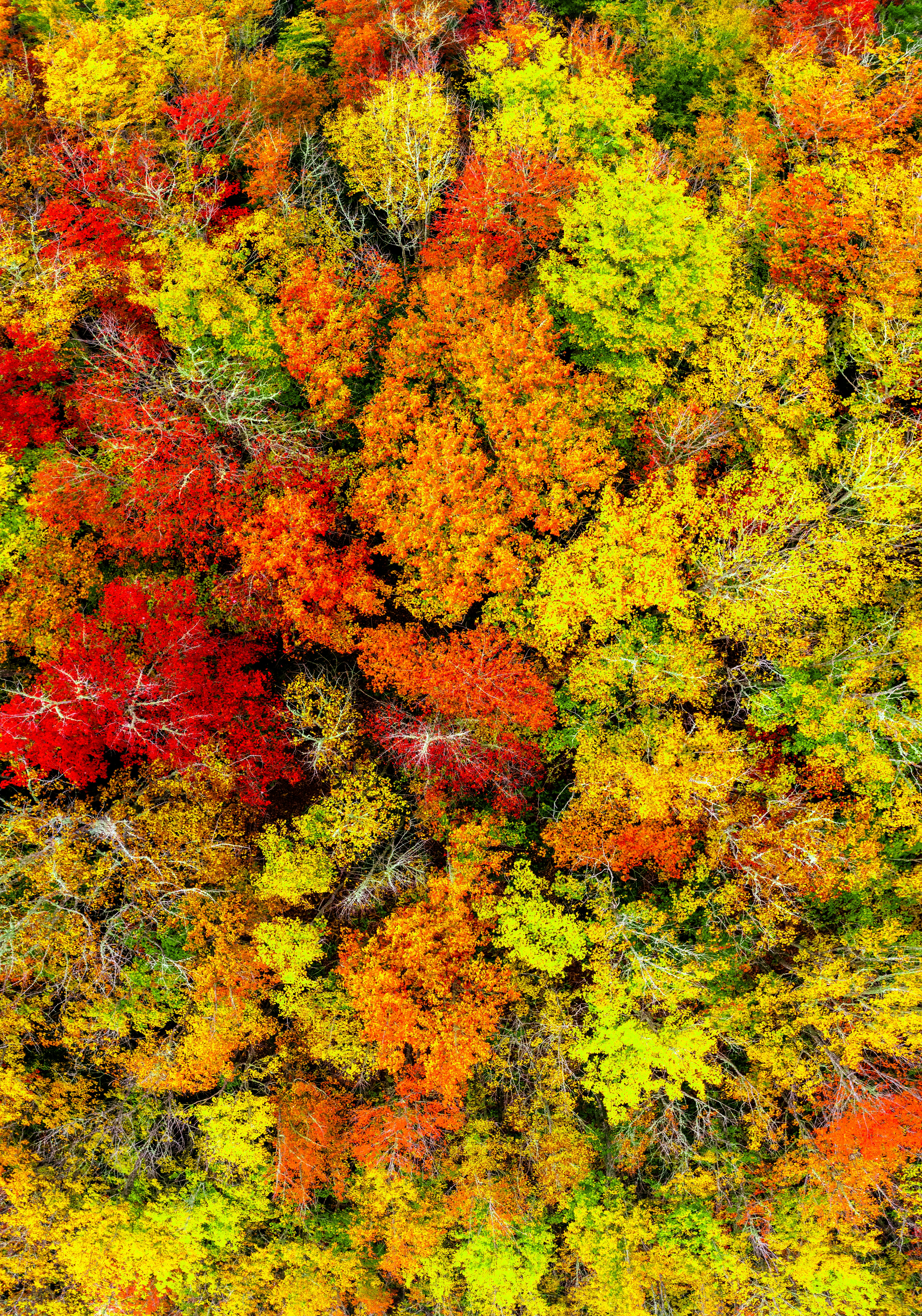 Jason Heisler - 摄影