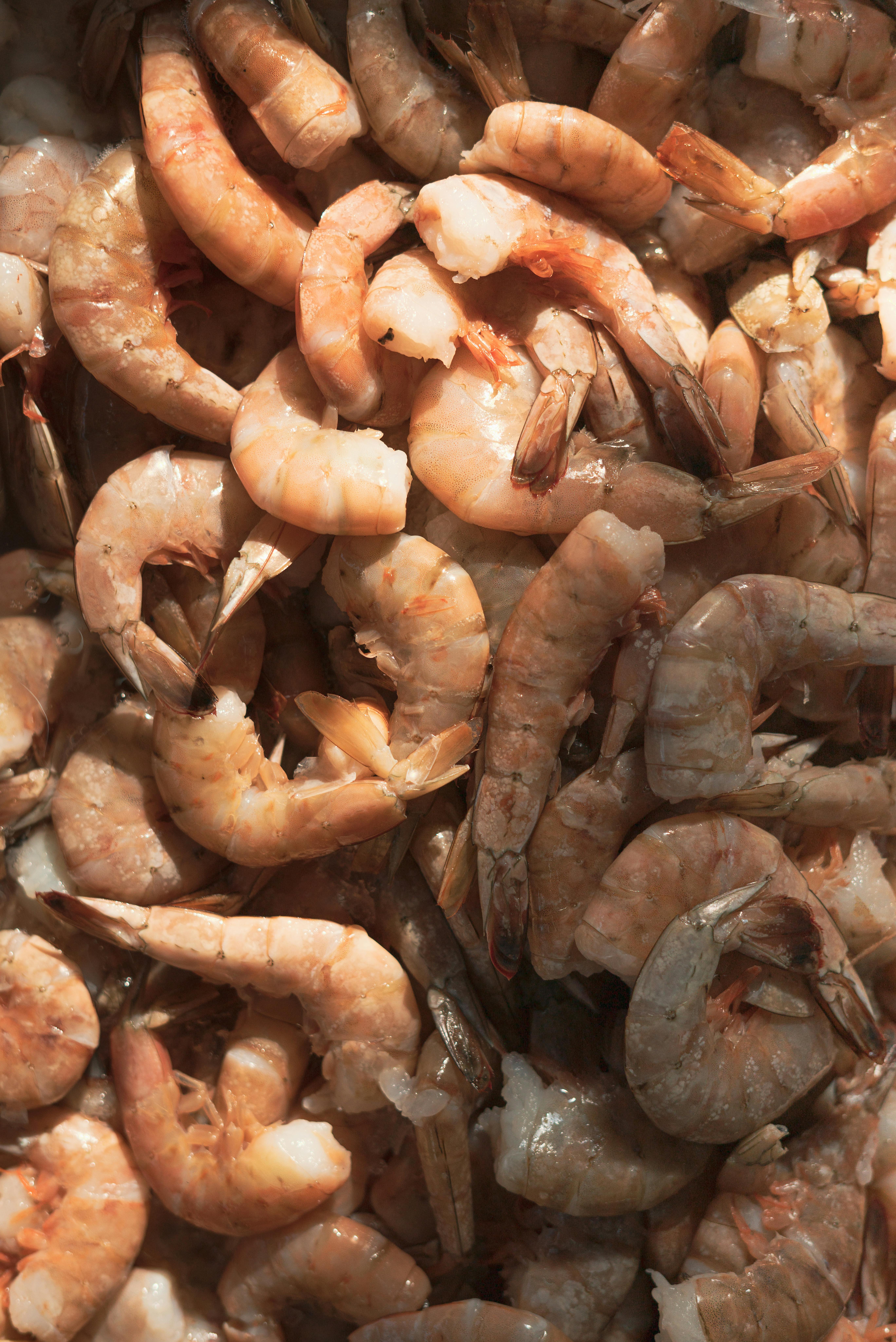 Close up on Stacked Shrimps · Free Stock Photo