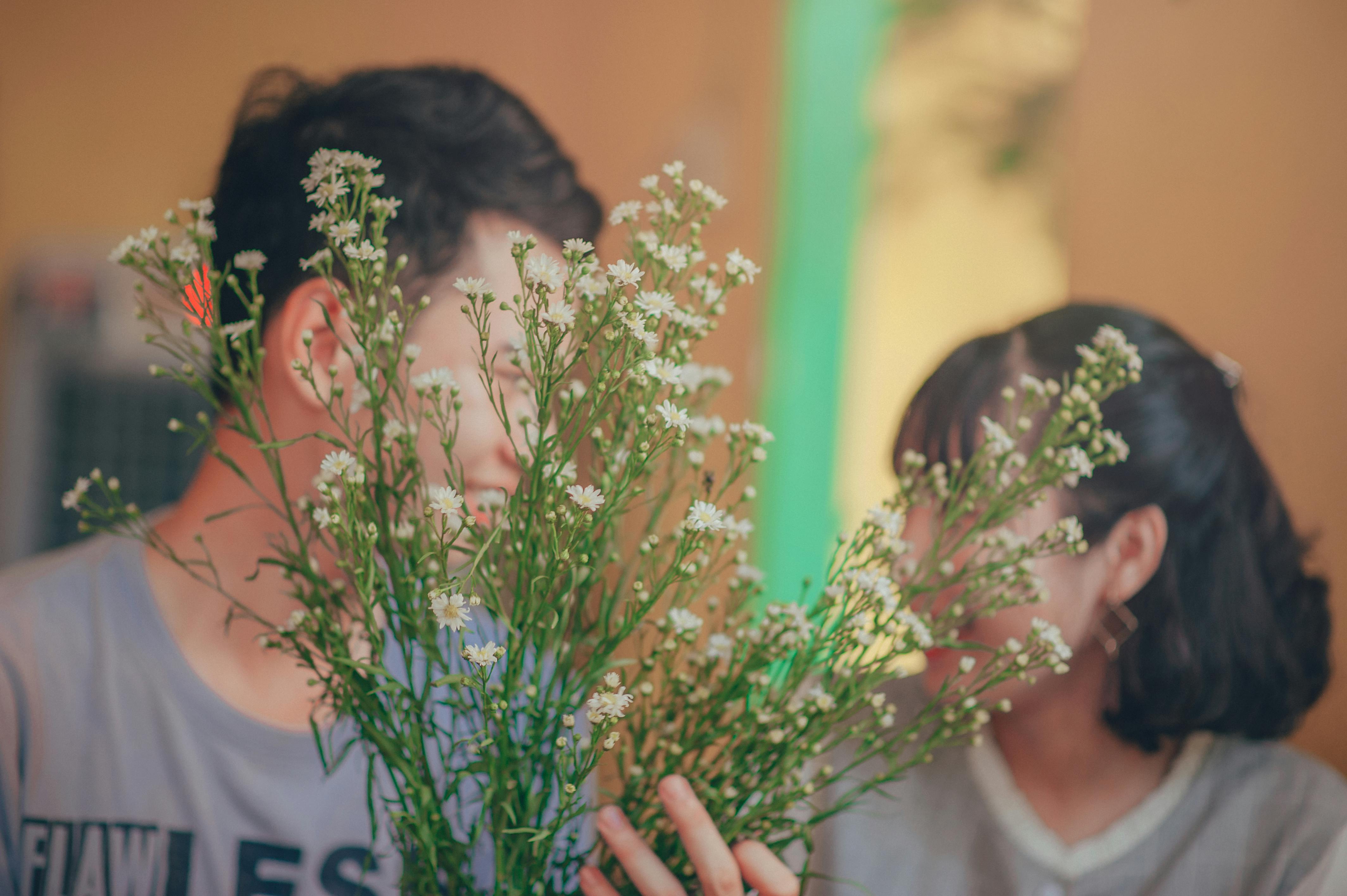 Photo of Man Giving Flowers to Woman · Free Stock Photo Photo of Man Giving Flowers to Woman · Free Stock Photo