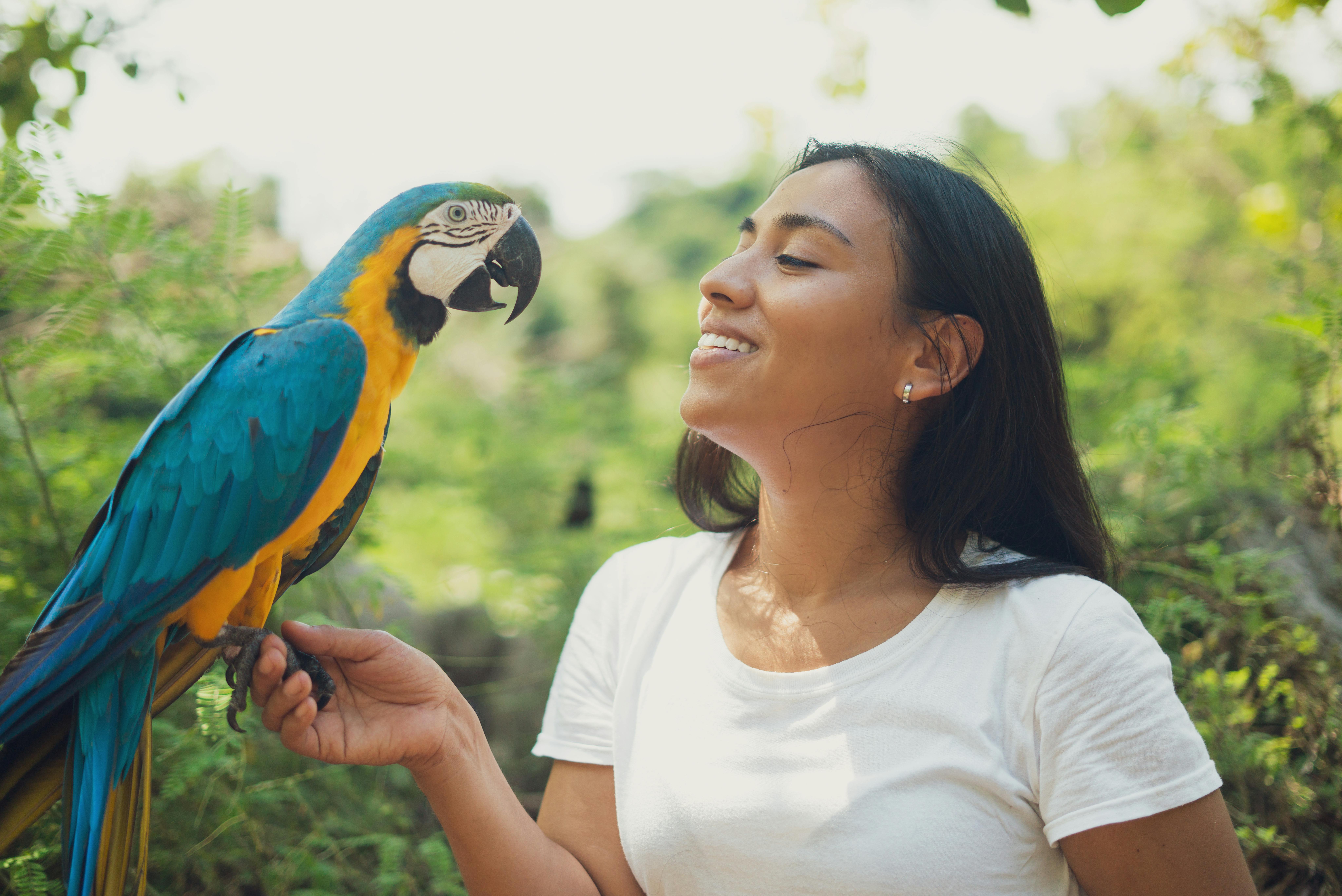 Woman Holding Colorful Parrot on Hand · Free Stock Photo