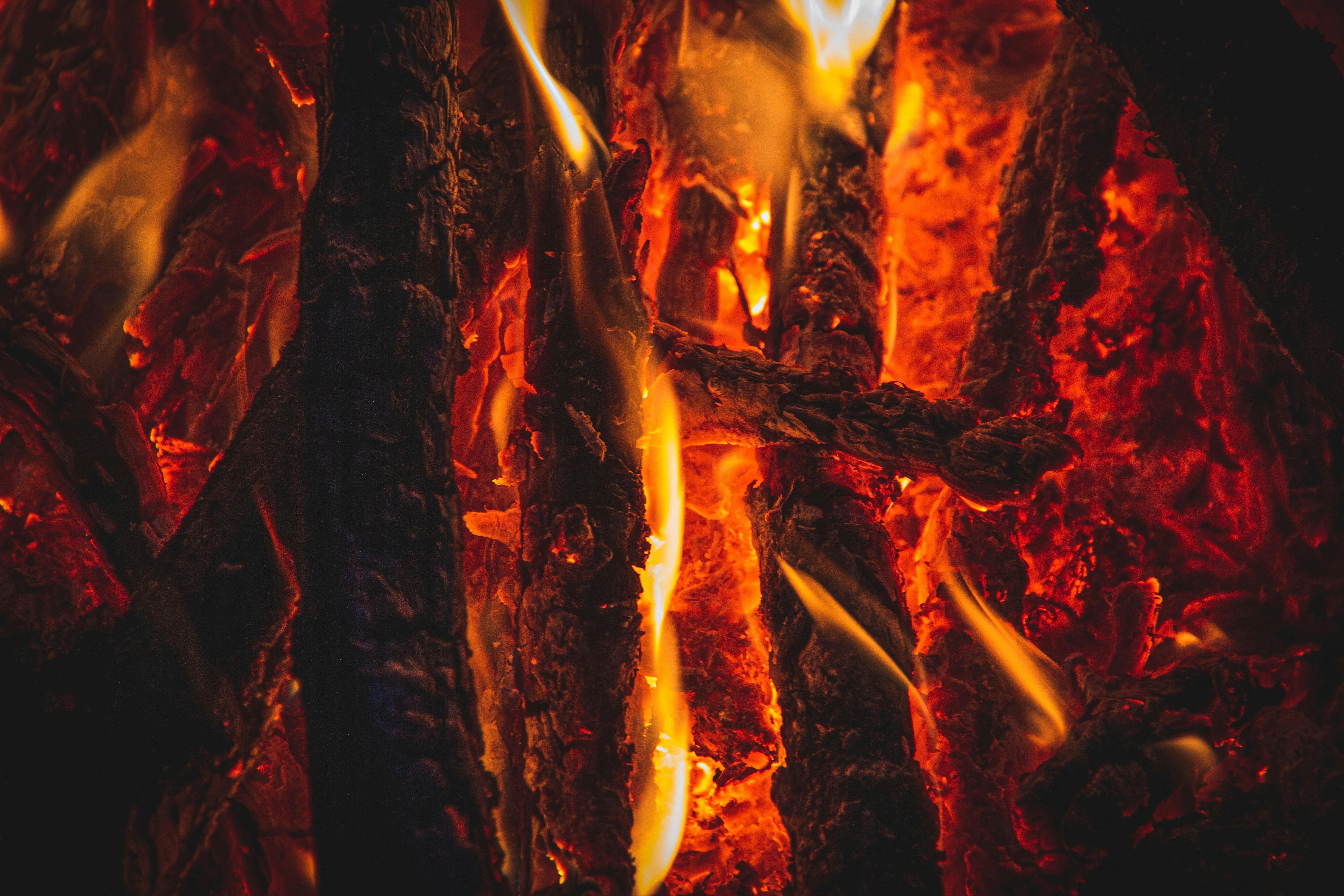 A Close-Up Shot of a Bonfire · Free Stock Photo