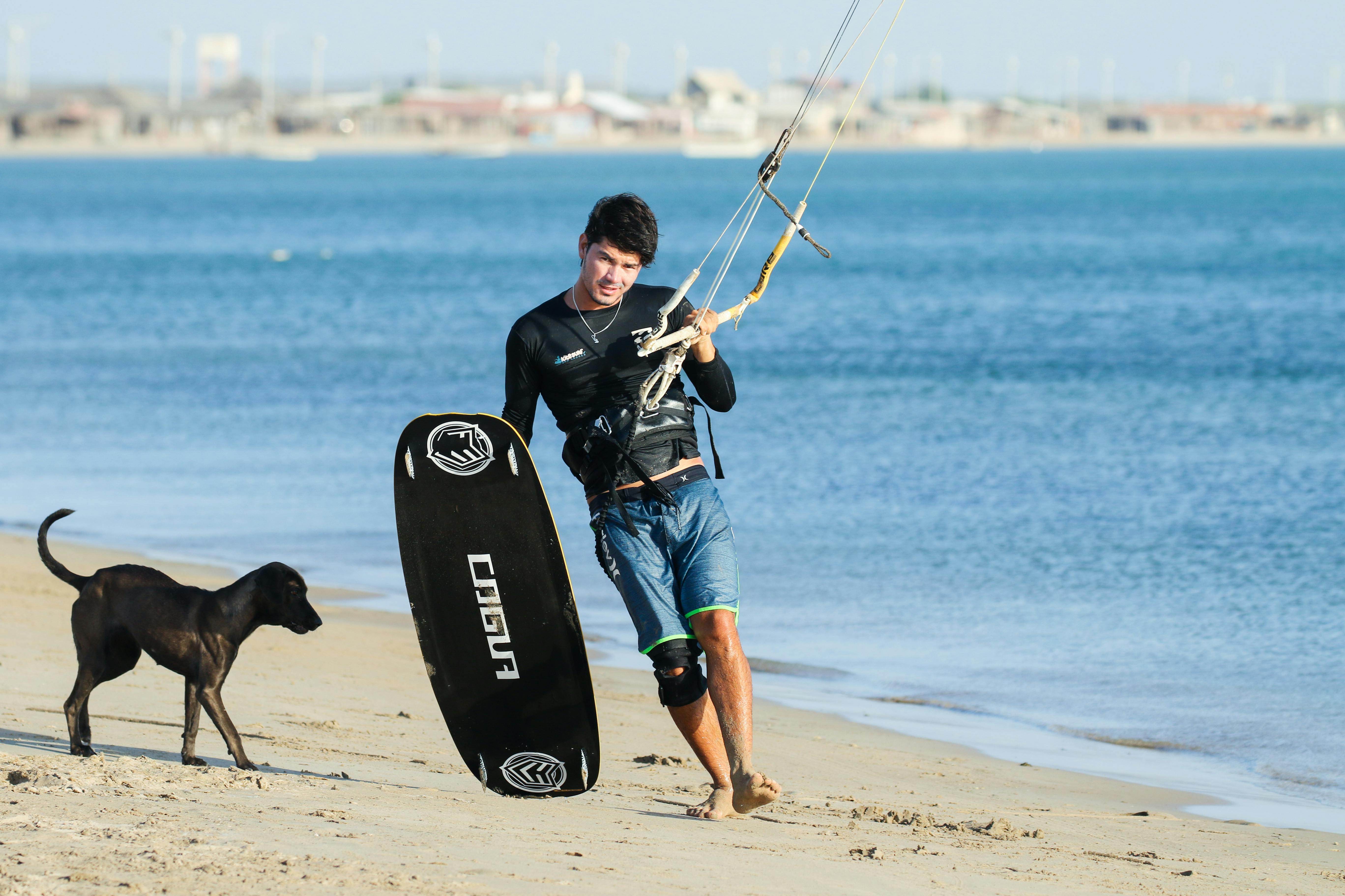 Dog Boarding Photos, Download The BEST Free Dog Boarding Stock Photos ...