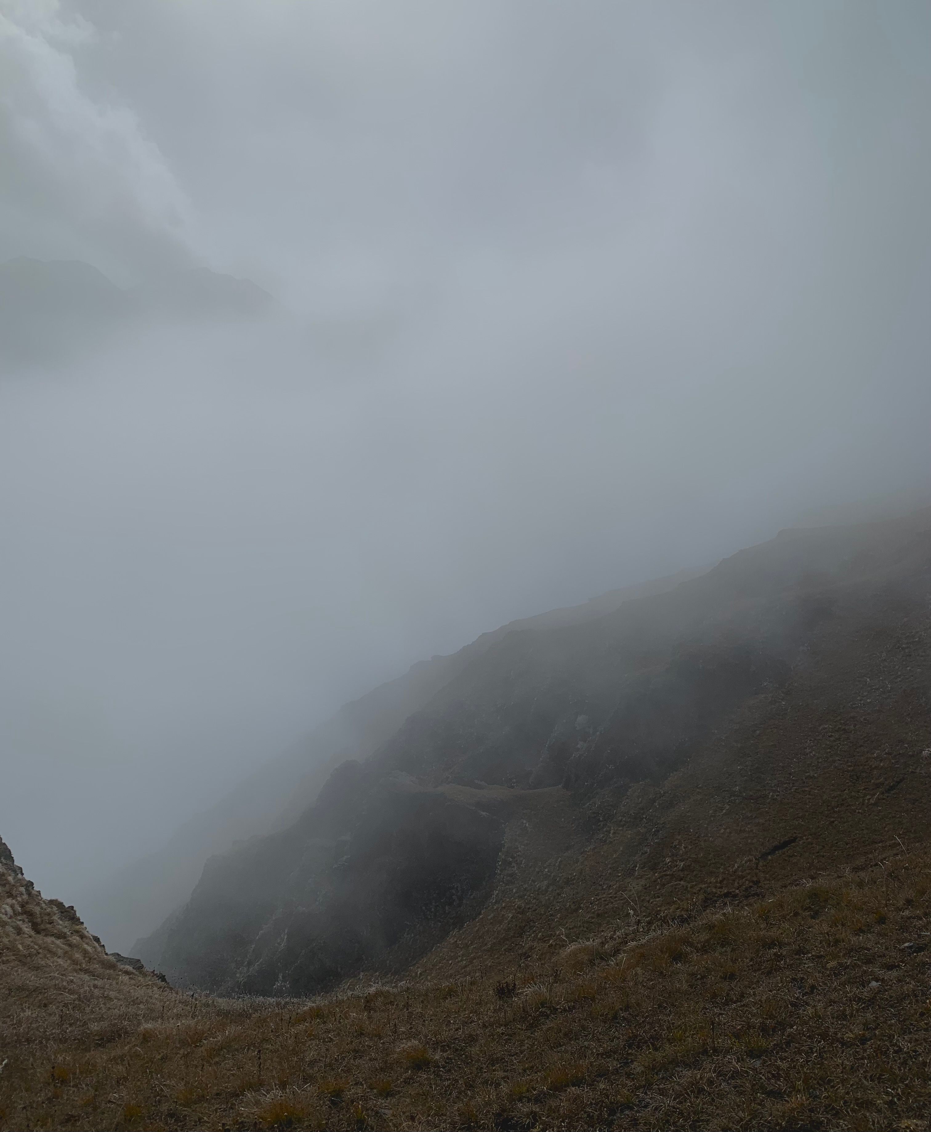 Green Mountains with Crawling Thick Fog · Free Stock Photo