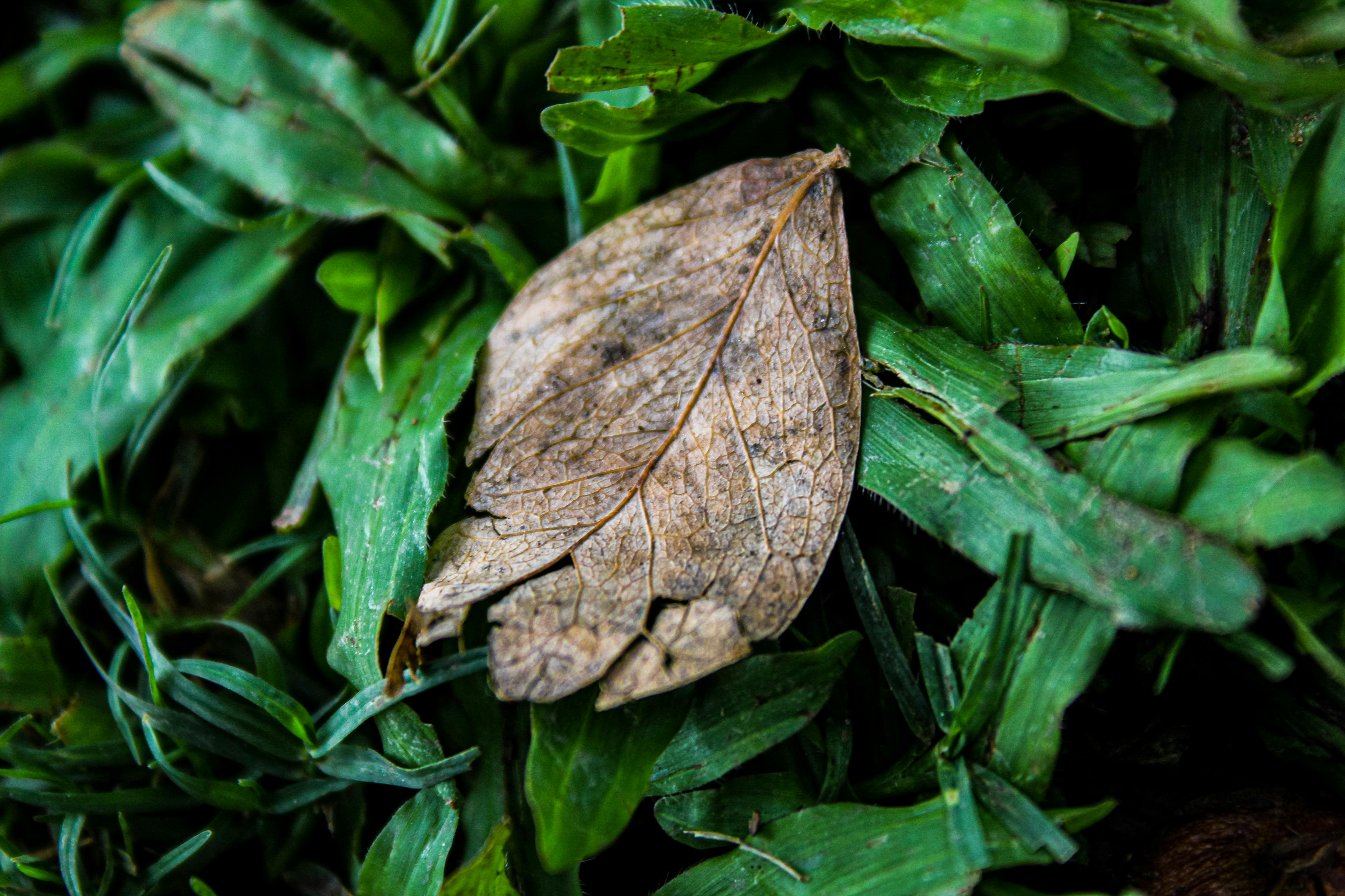 Dharmesh Parmar - Photography