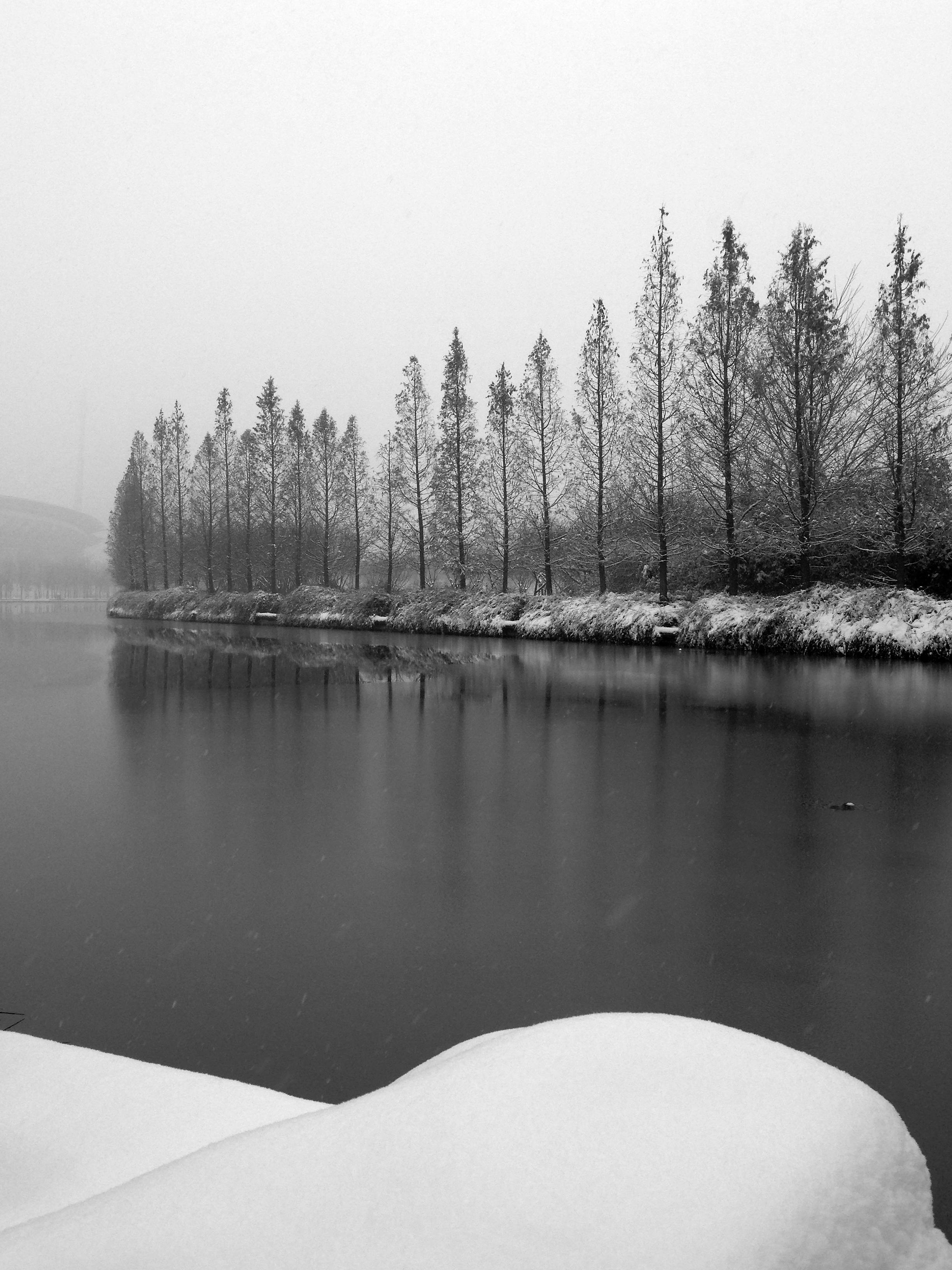 Black and White Landscape with a Hunting Box · Free Stock Photo